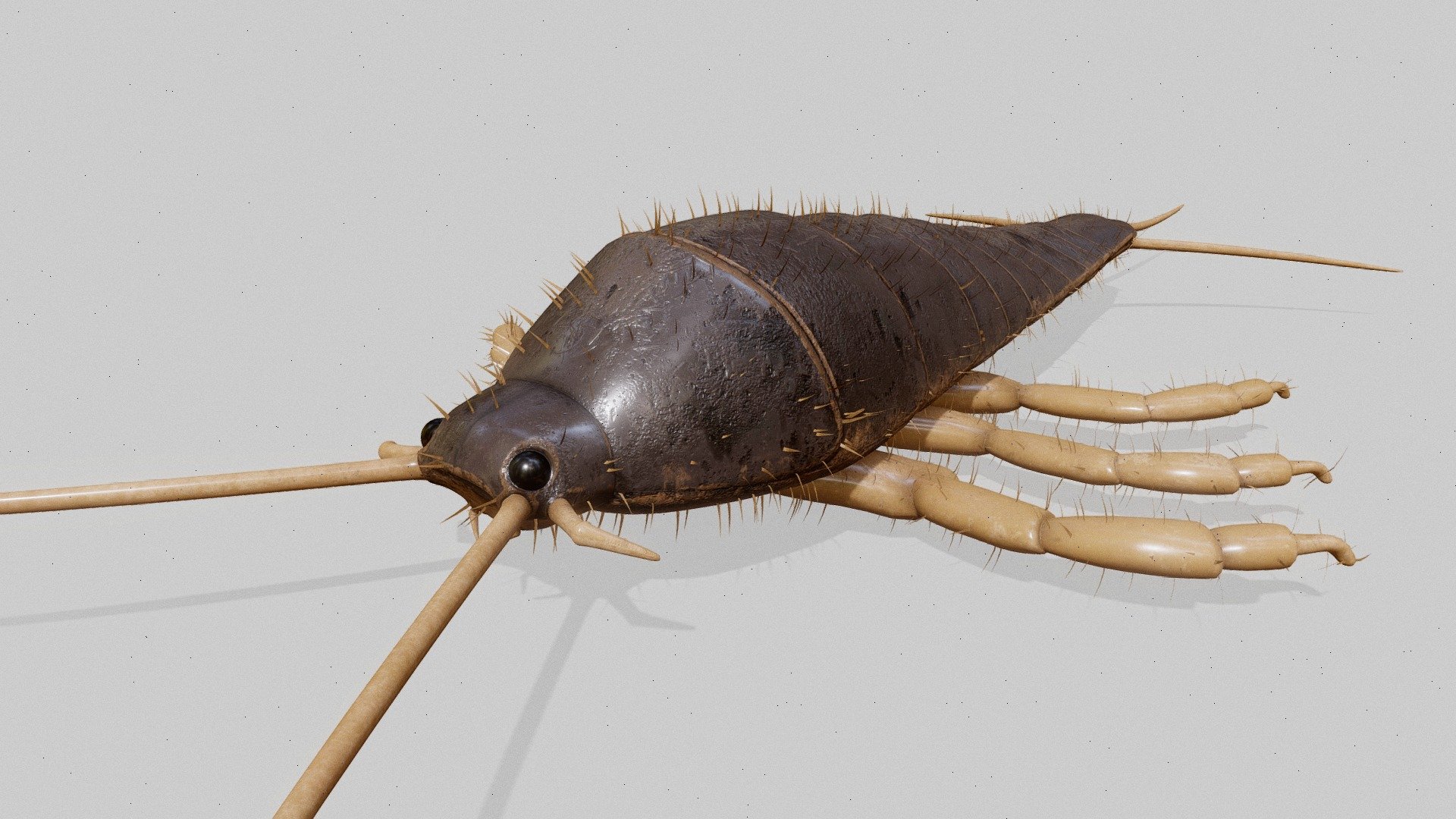 Insect - Silverfish - Buy Royalty Free 3D model by Natam.Antony ...