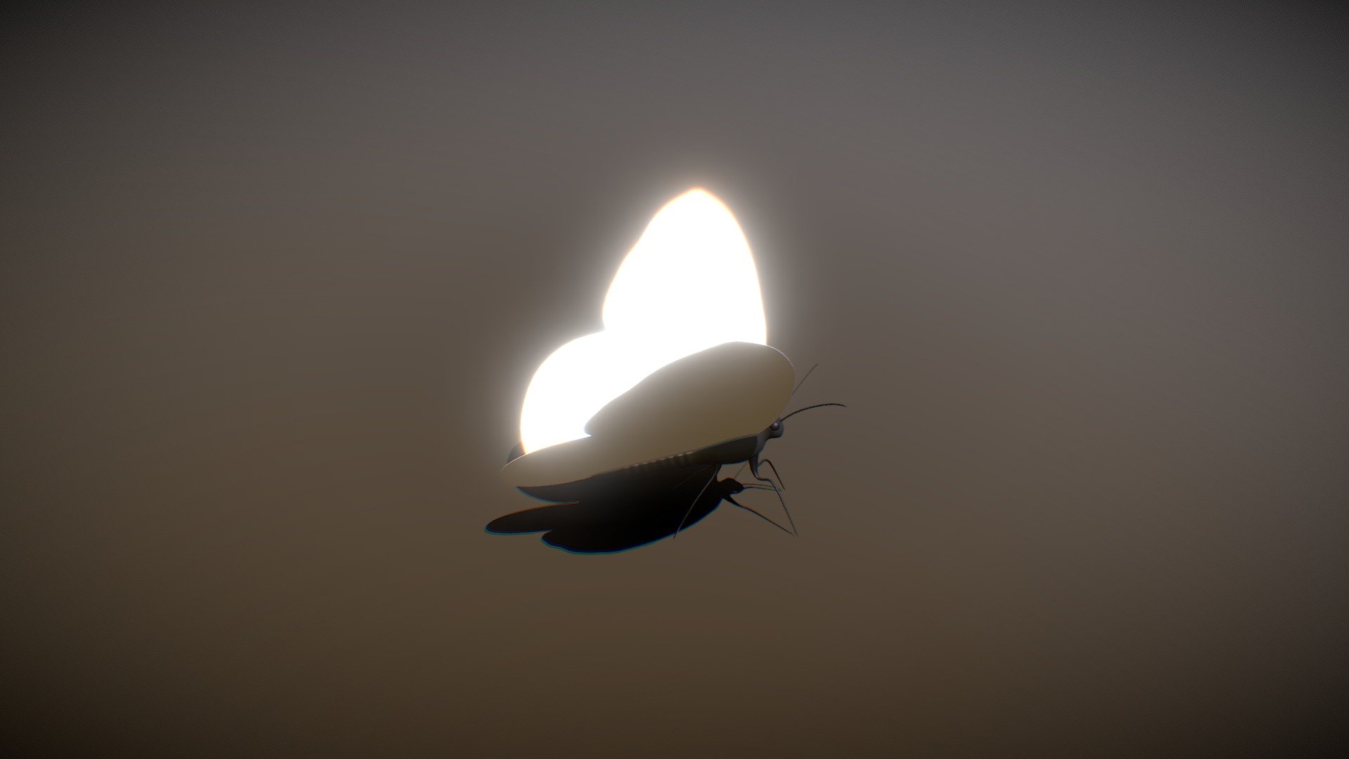fly - Download Free 3D model by PGMODEL (@sandromsgomes) [a0e3101 ...