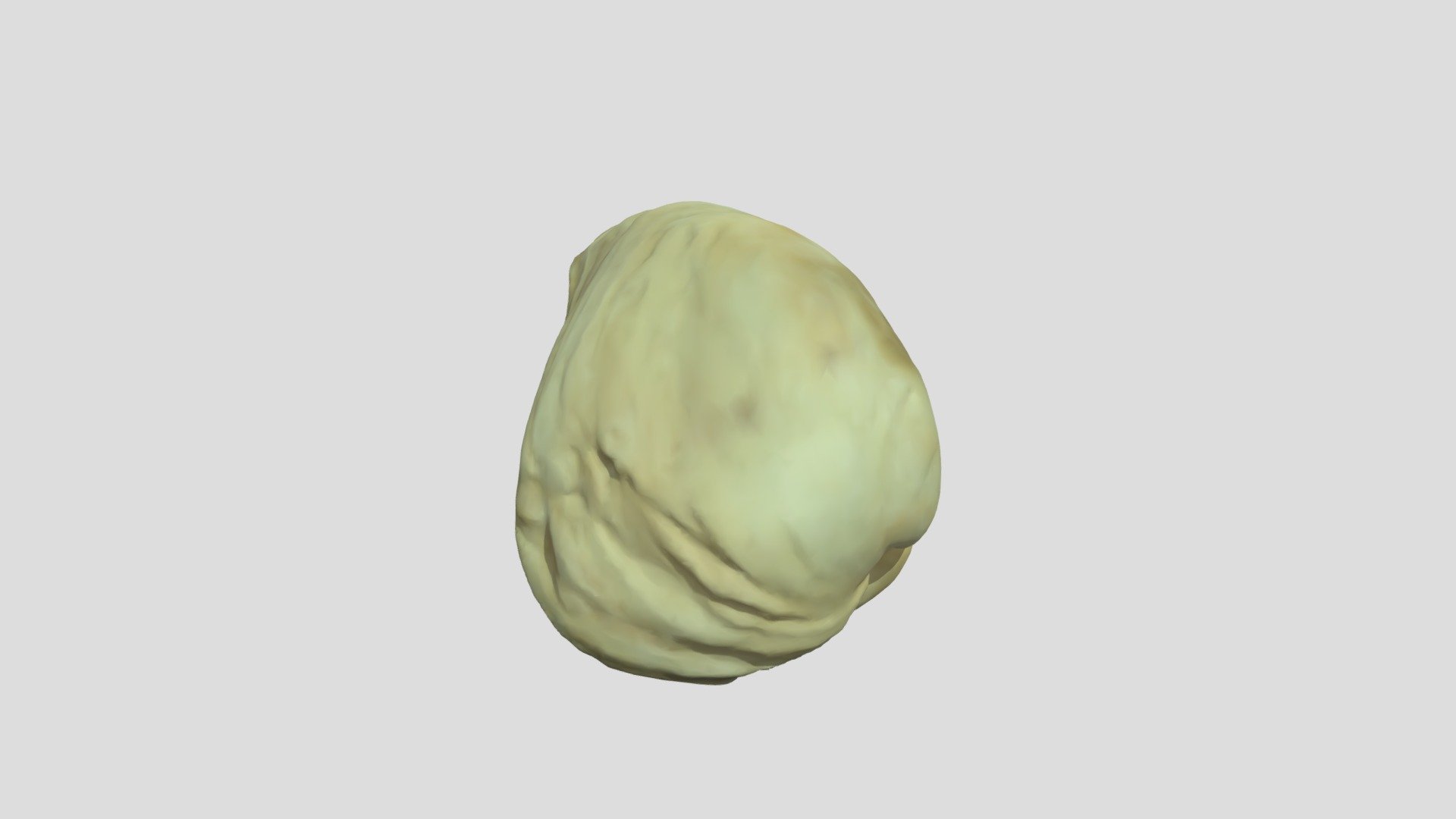 Trapezium liratum_ウネナシトマヤガイ_GMNH-IM1046 - Download Free 3D model by Gunma Museum of Natural ...
