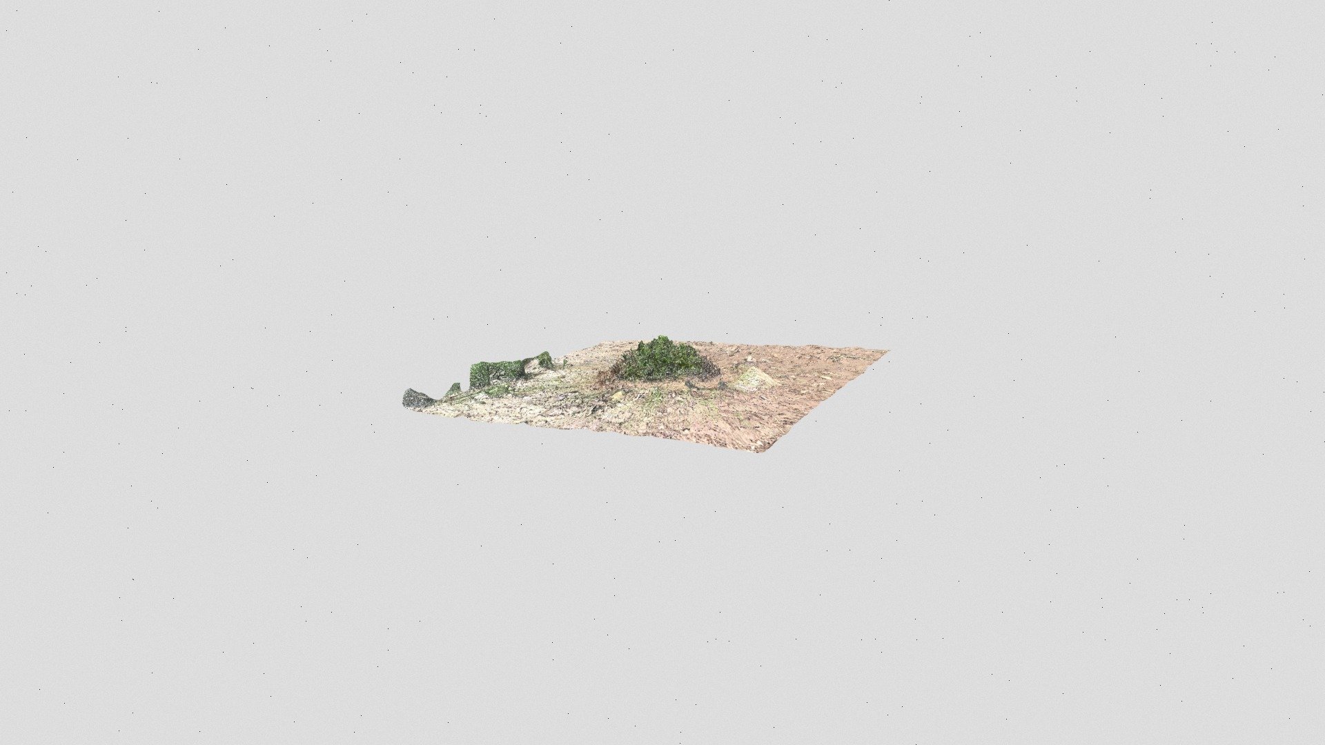 Marsh Grass Detritus - 3D model by lexelina [a0eaad8] - Sketchfab