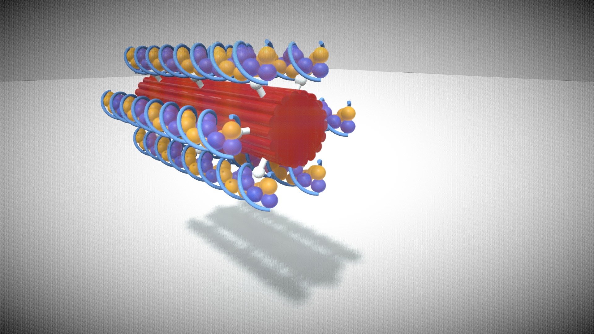 Sarcomere Model - Download Free 3D model by rgmz2015 [a0f57ca] - Sketchfab