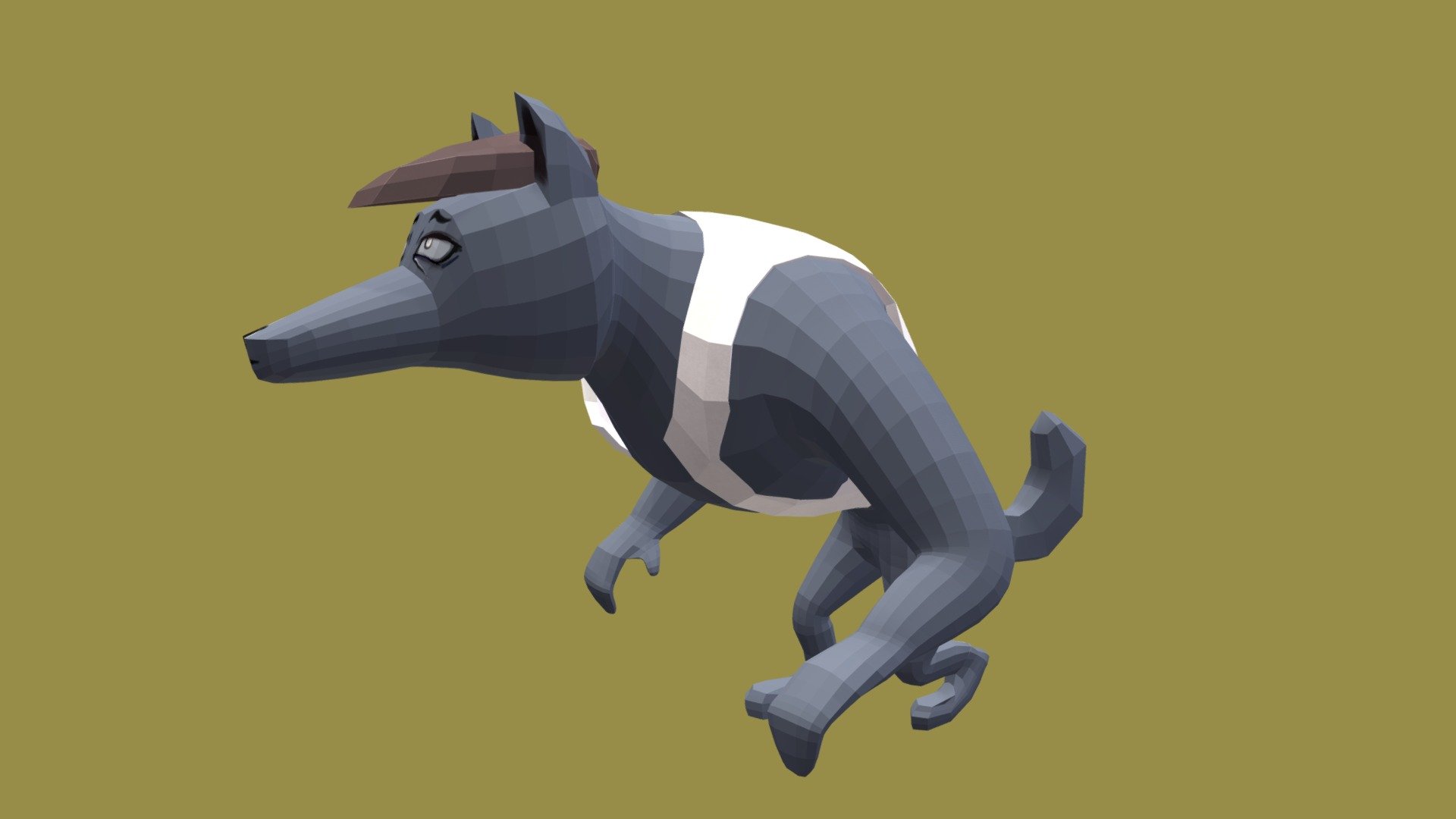 Wolf model - 3D model by notsooart [a10febe] - Sketchfab