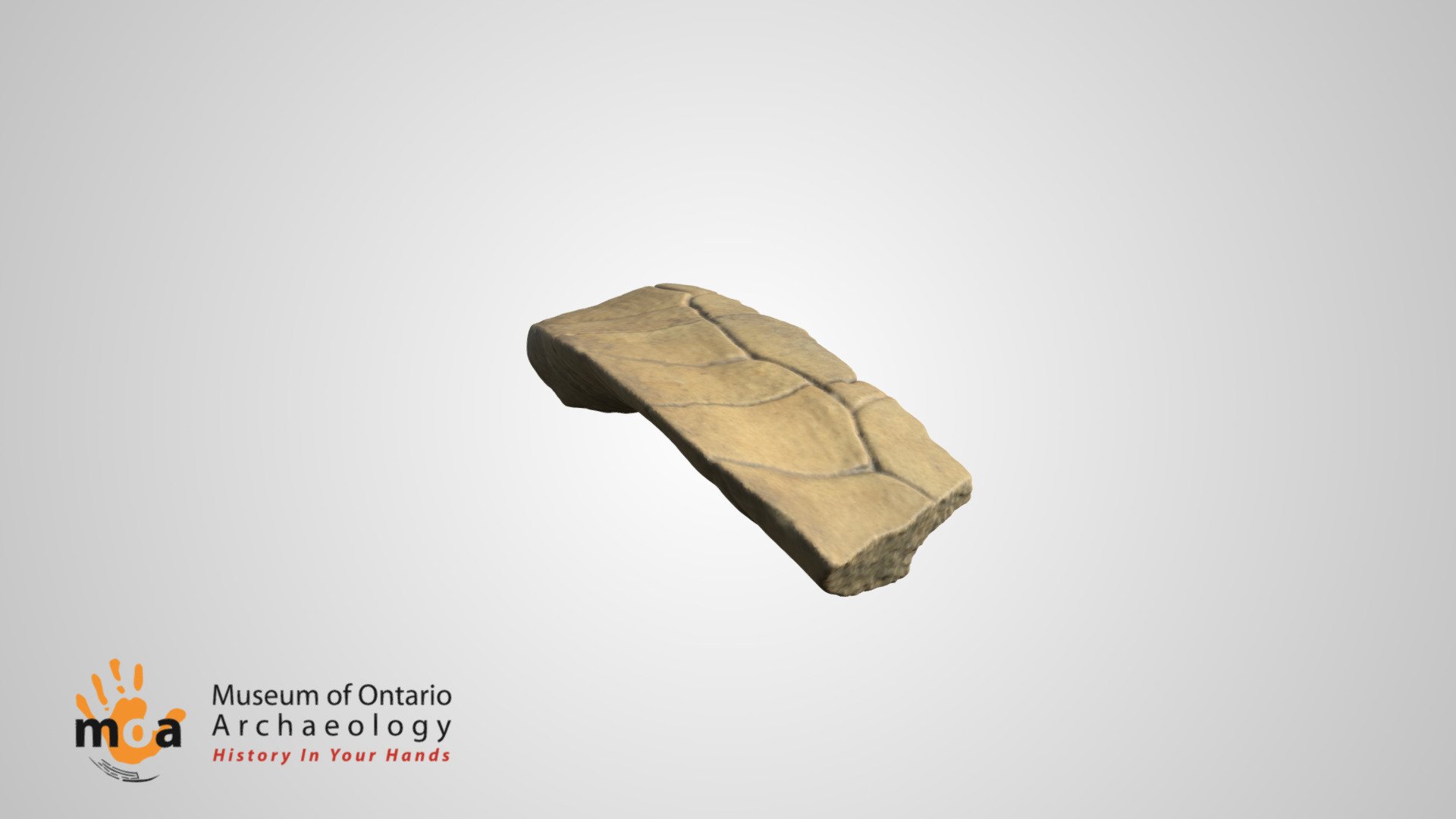 Unmodified Turtle Shell J178 - 3D model by MuseOntArch [a114103 ...