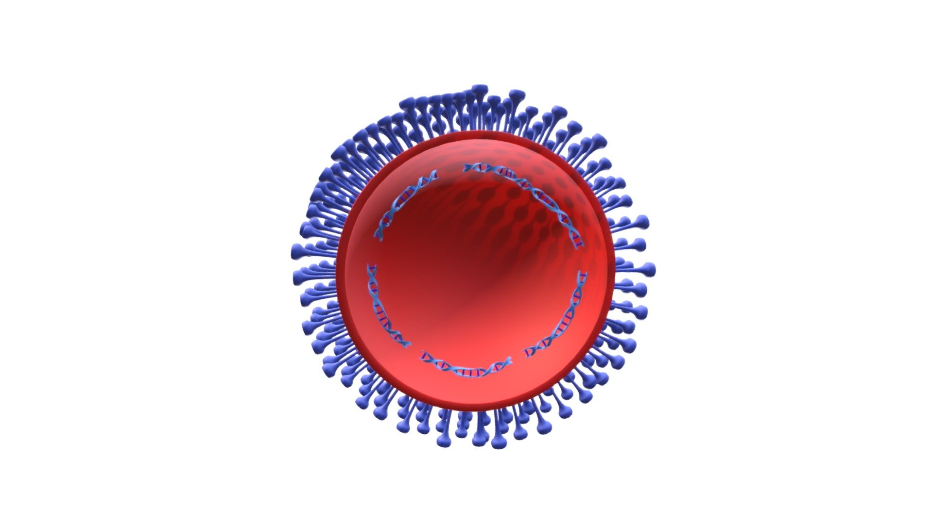 Hepatitis A virus - 3D model by RCSI [a1159b9] - Sketchfab