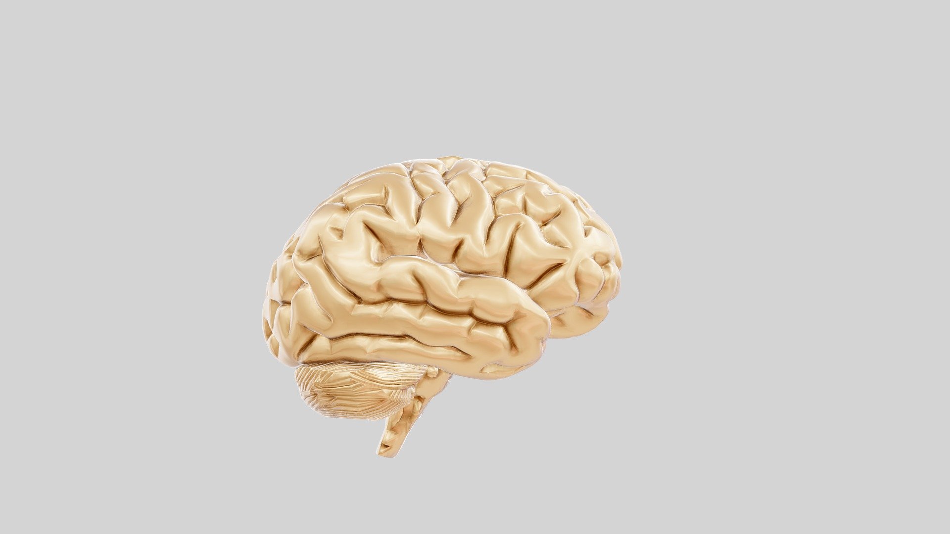 MOZOK - 3D model by tubikstudio [a122330] - Sketchfab