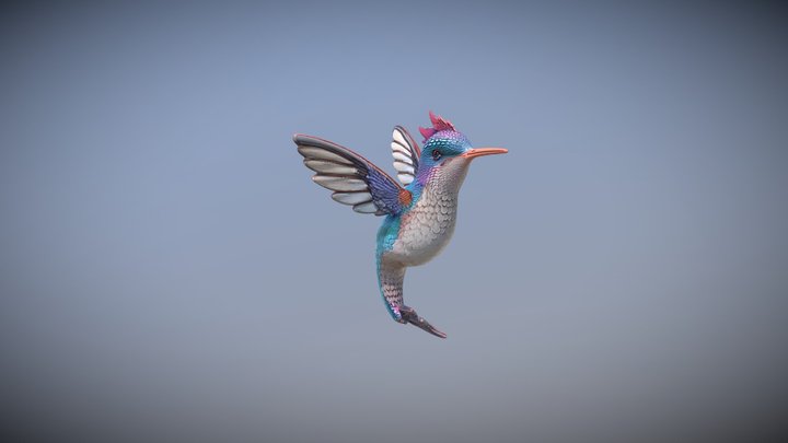 Hummingbird 3D models - Sketchfab