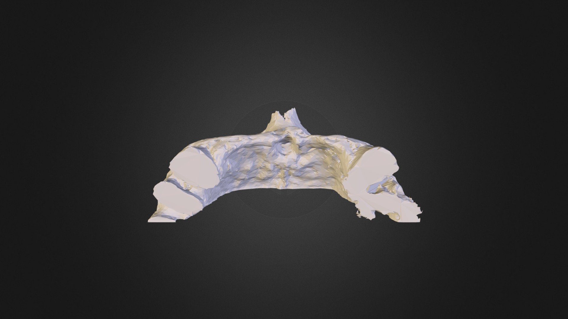 Tomography Print - 3D model by 3dindustries [a13735e] - Sketchfab