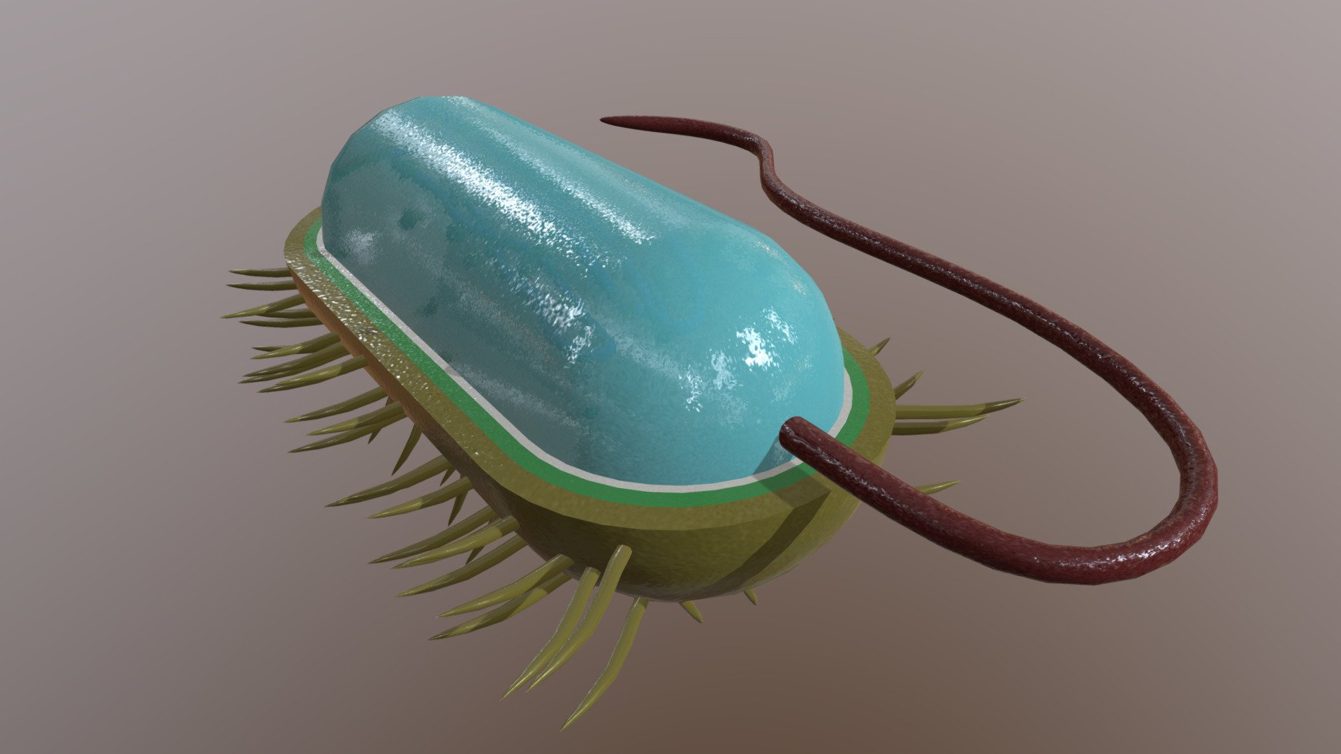 Bactéria - 3D model by Chrystopher Pinter Oliveira Lacerda ...