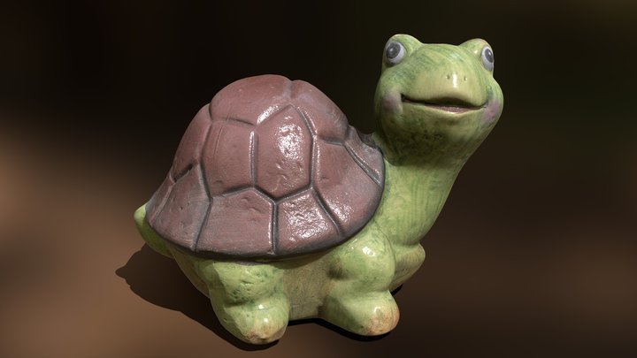 Turtle 3D models - Sketchfab