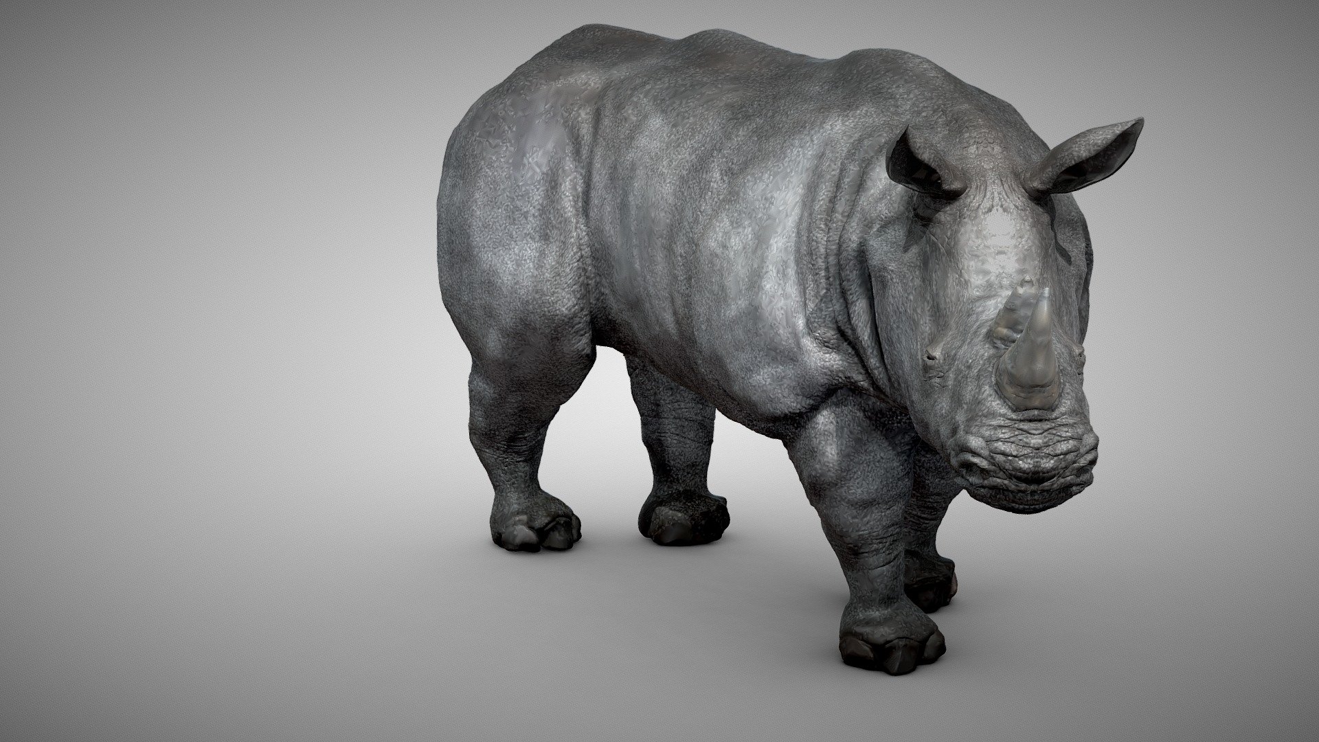 Javan Rhinoceros Buy Royalty Free 3D Model By Adynhaidar a1490d9 