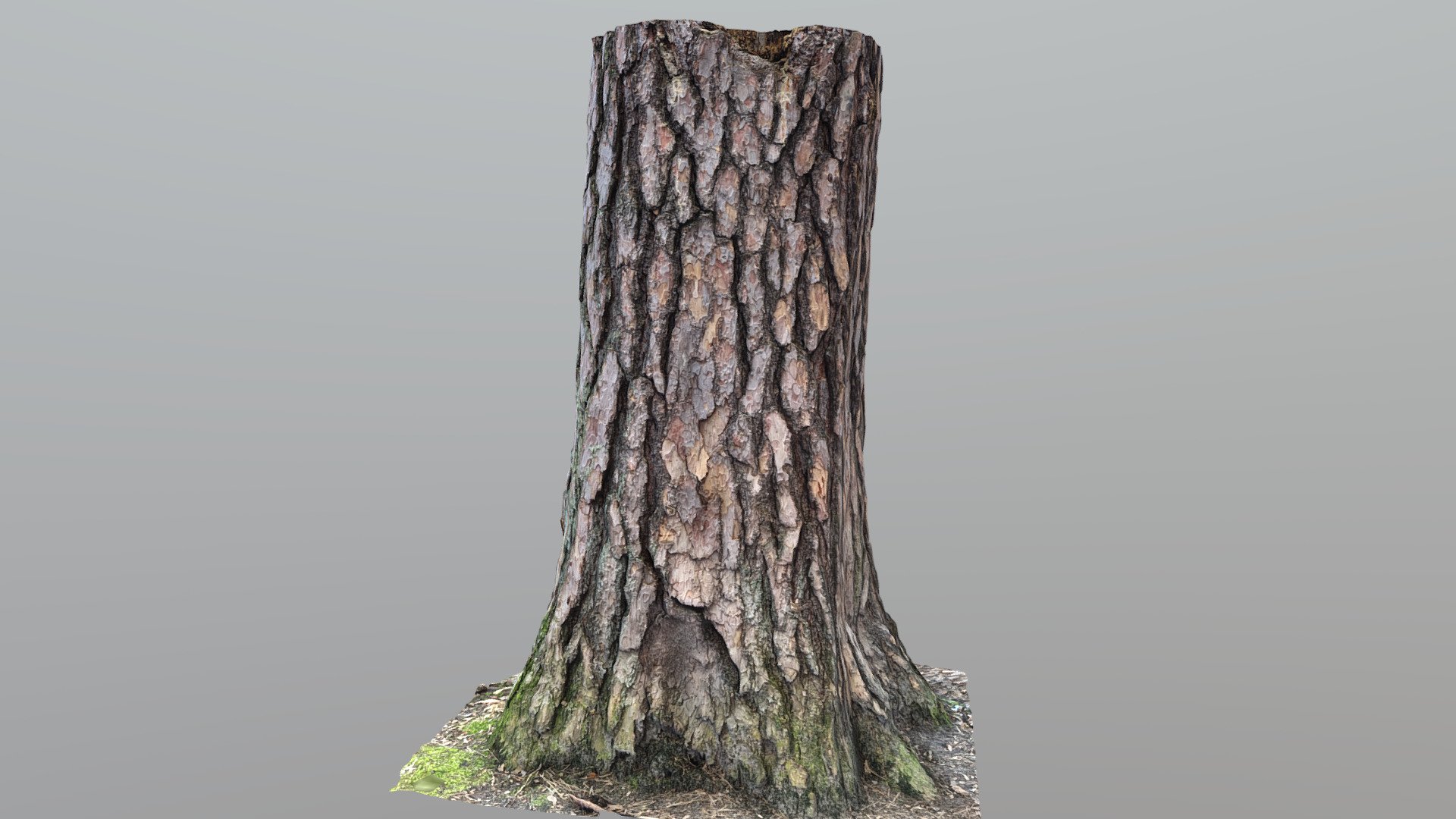 Tree stump - Download Free 3D model by Deluva [a14dc71] - Sketchfab