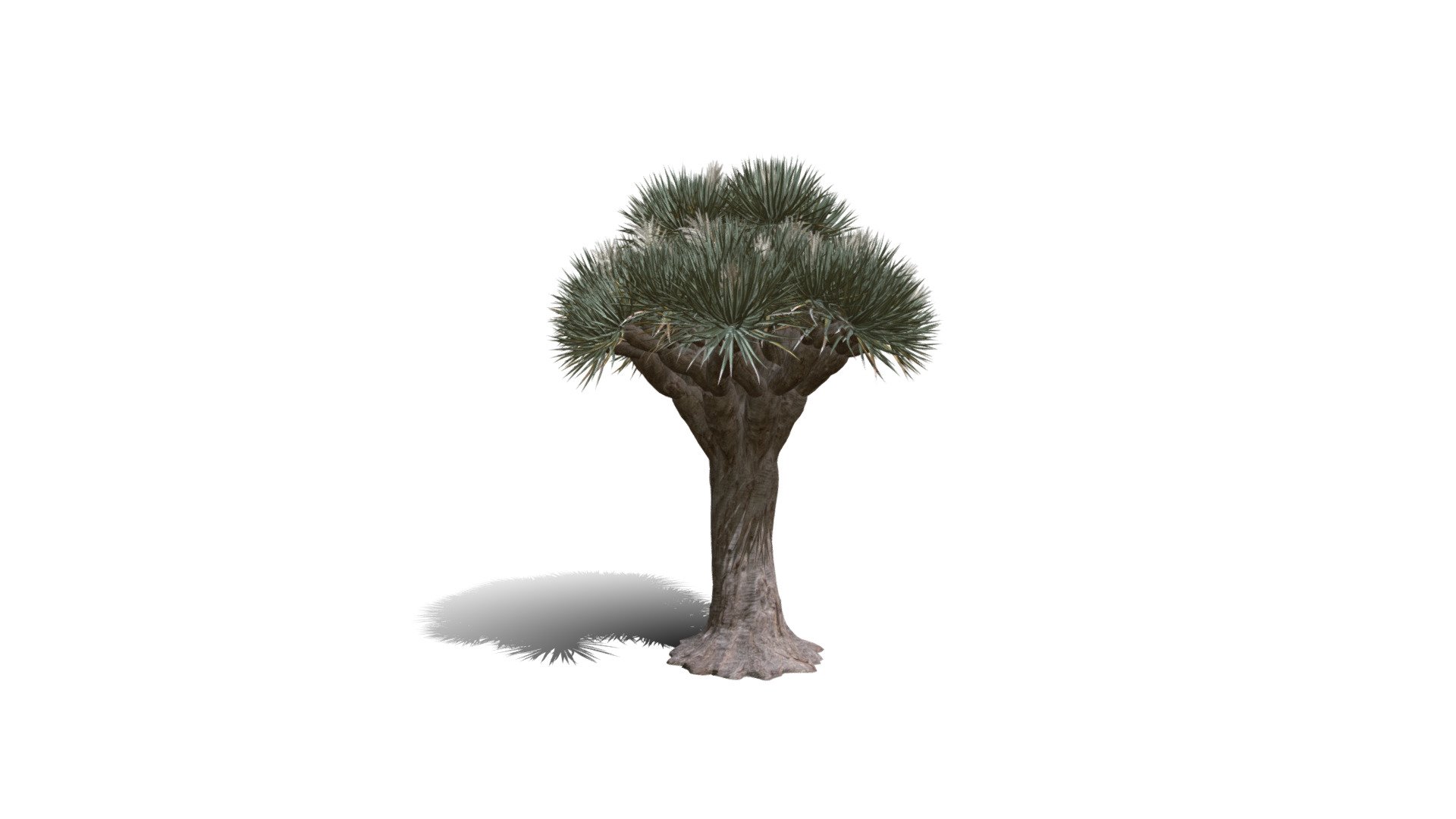 Realistic HD Dragon tree (14/50) - Download Free 3D model by ...