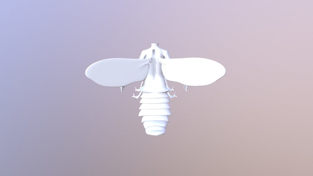 adze body - 3D model by Jamal.L..Montia [a1599e5] - Sketchfab