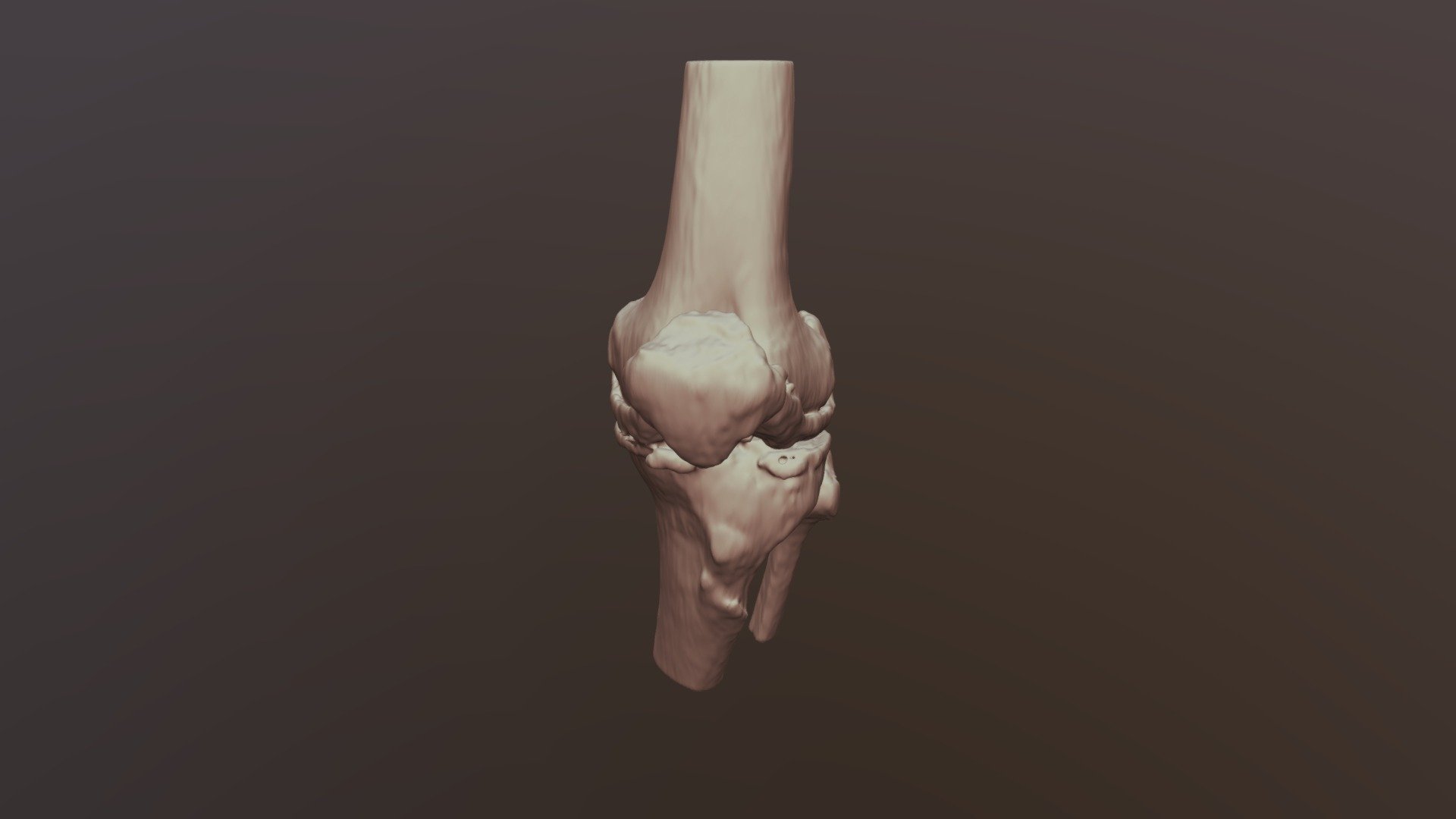 Segmentation Segment 2 - 3D model by curisdata.science [a1764b5 ...