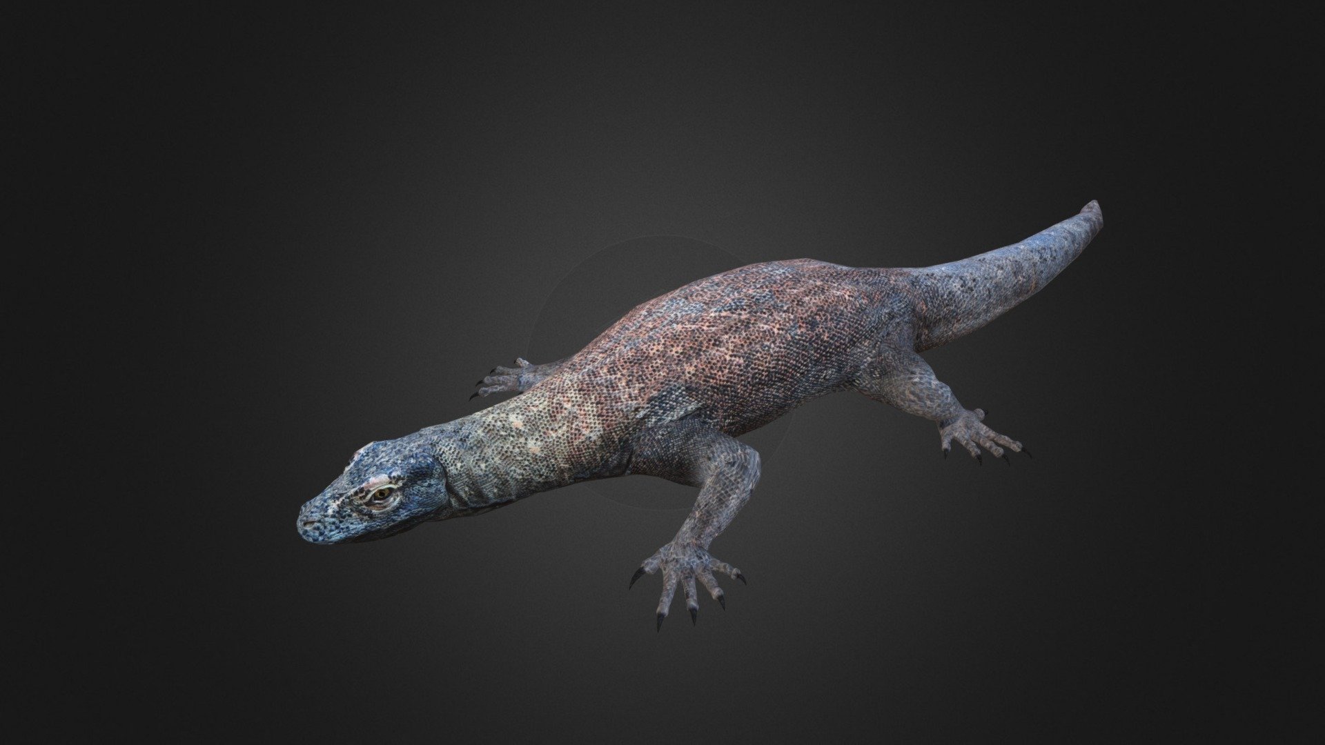 Komodo dragon - 3D model by Ondřej Vališ (@throy) [a179e6f] - Sketchfab