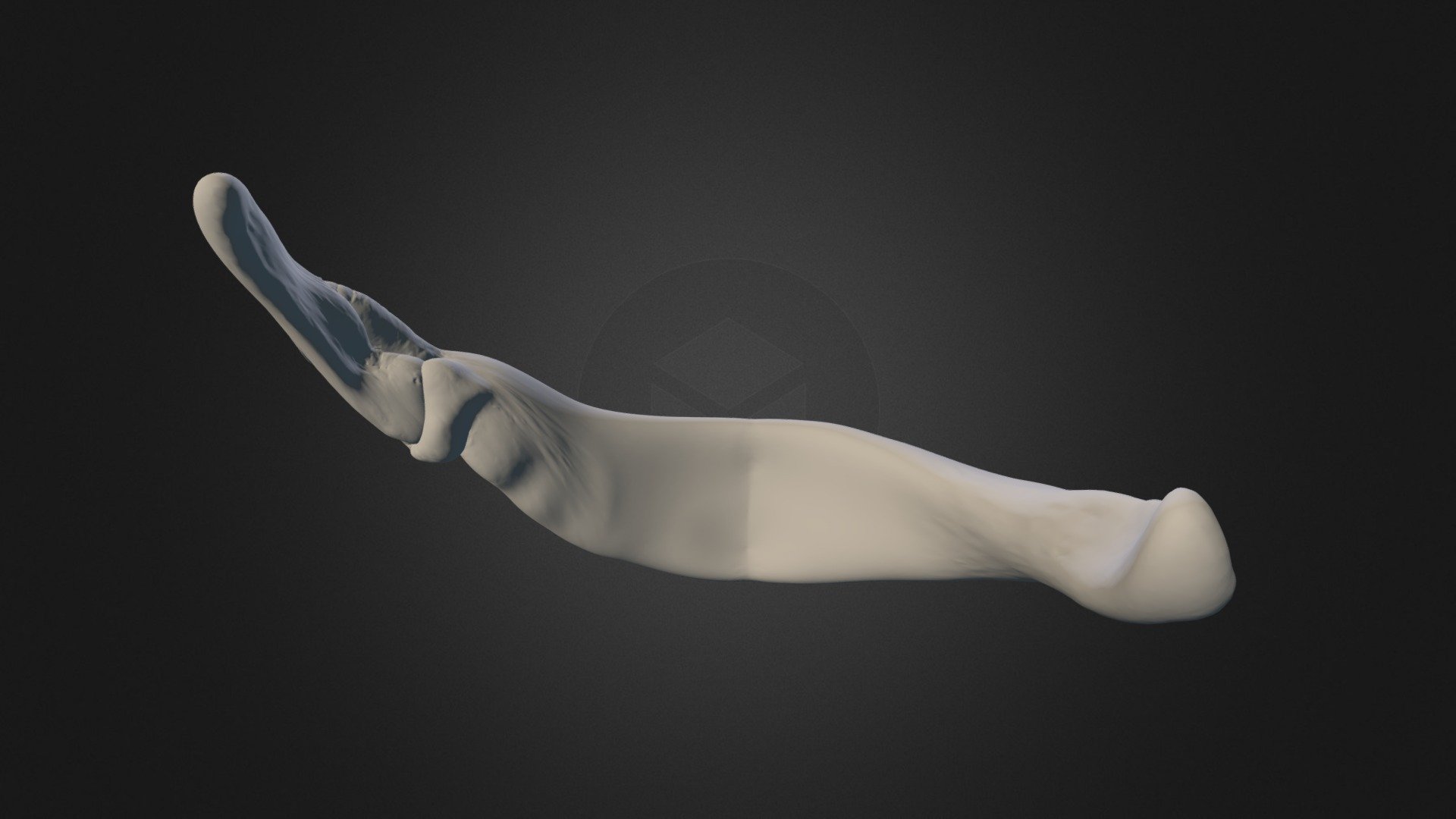 Felipe 2 Modelo - 3D model by feliperodriguesarquitetura [a182f34 ...