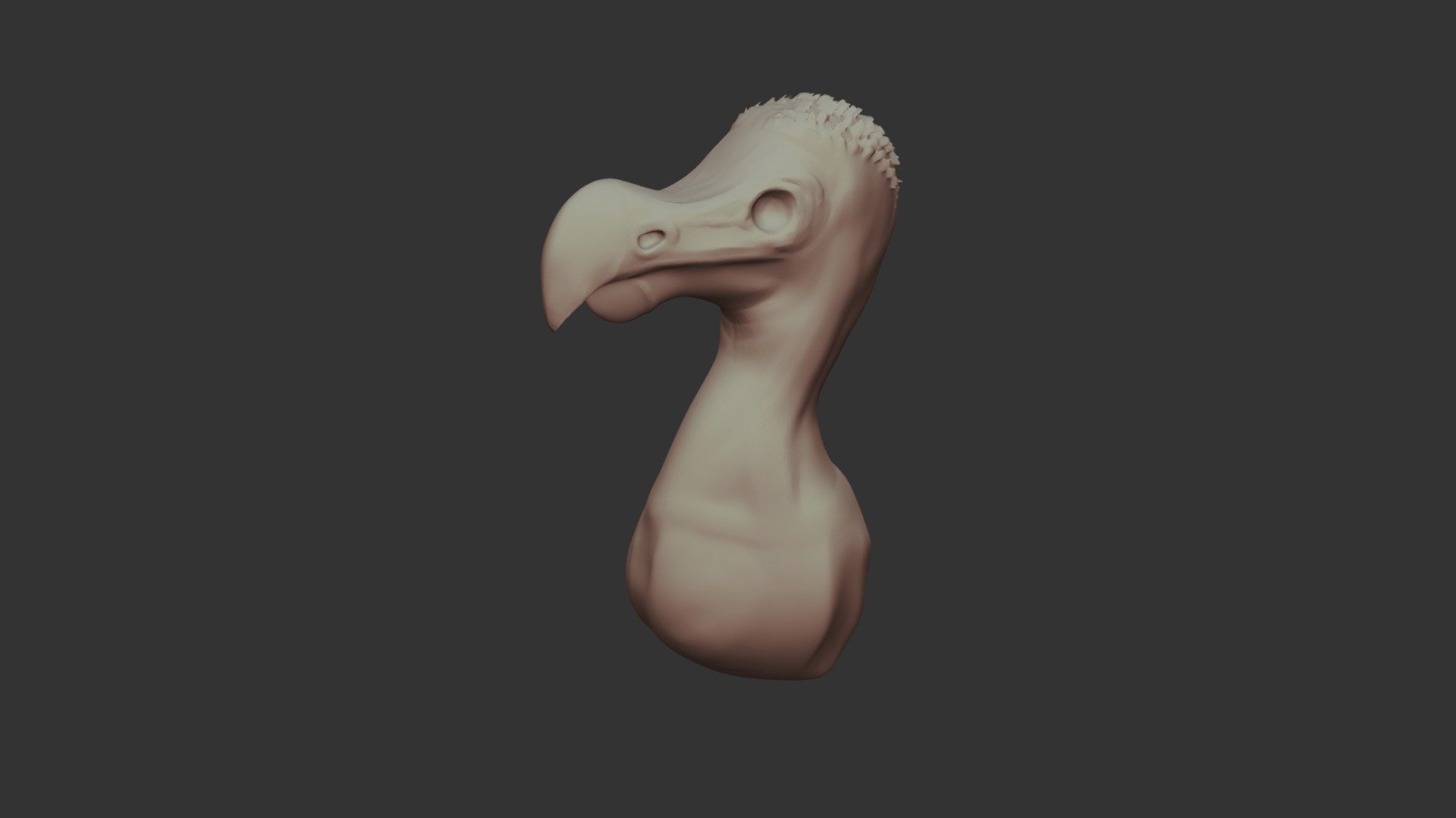 Dodo Head - 3D model by Inali3D (@inalitsigili) [a18501e] - Sketchfab