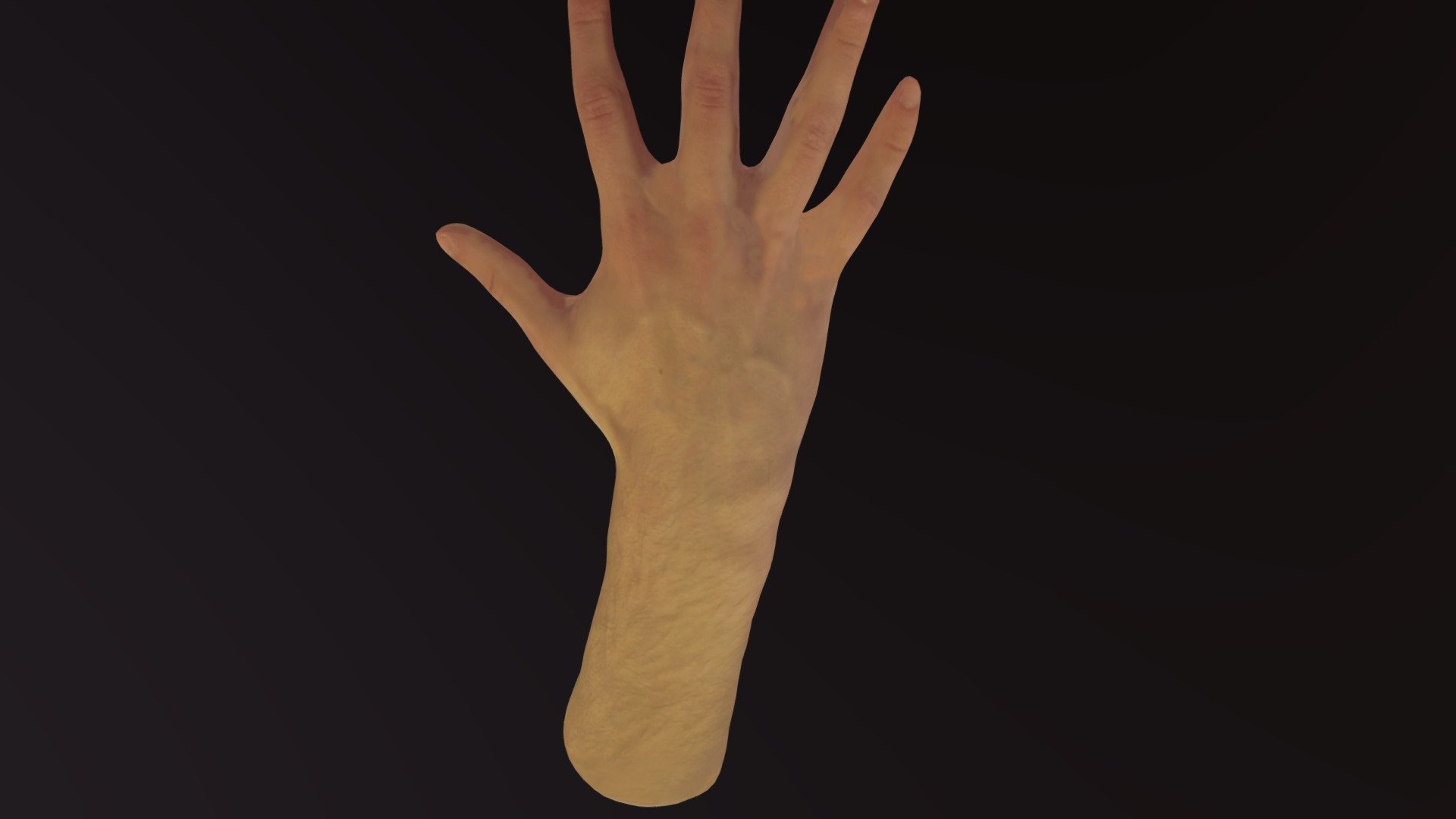 Hand Captured With DIY Hand Scanner! - Download Free 3D model by aduke ...