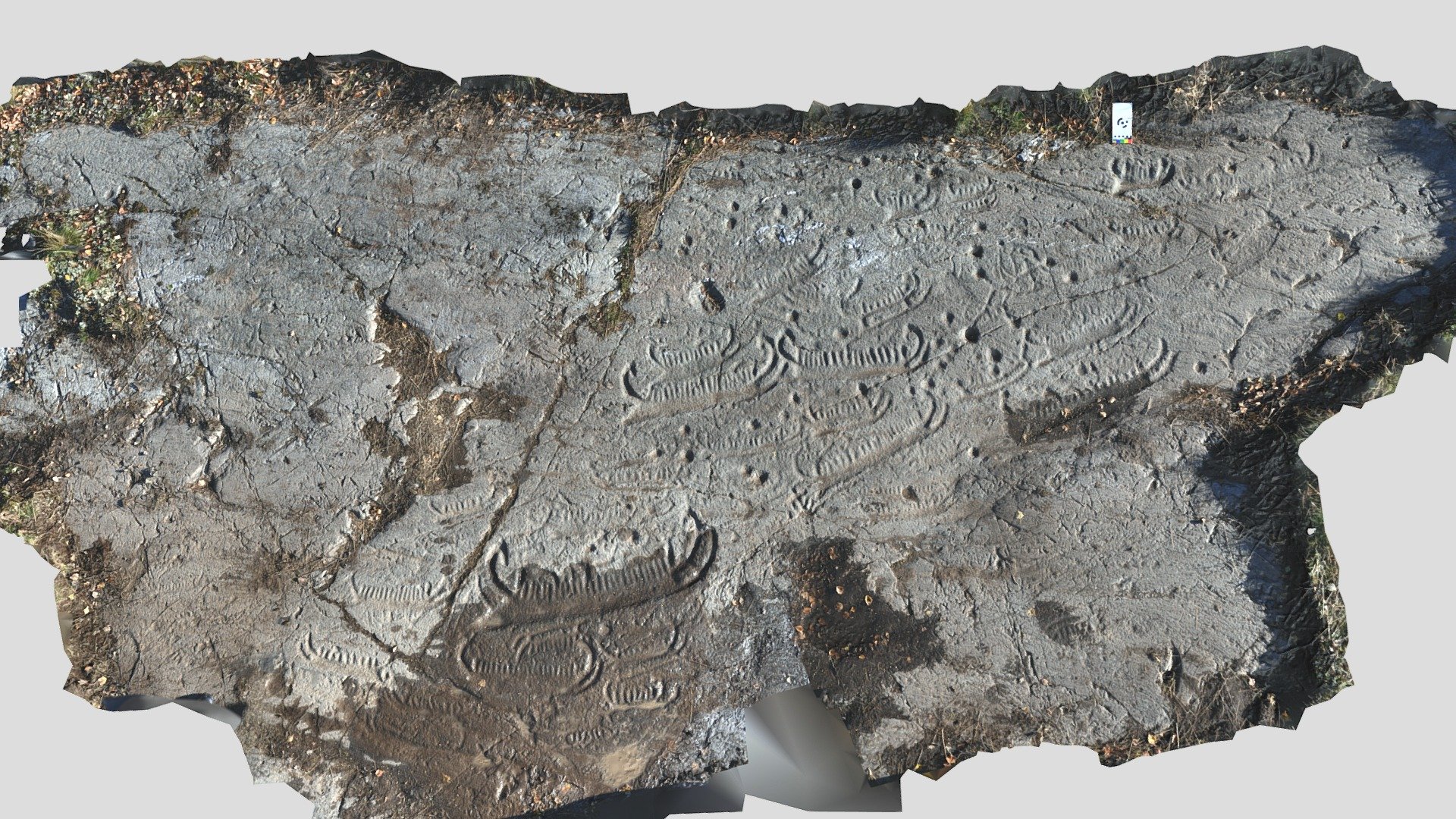 Boglosa_124_textur - 3D model by Opus Heritas 3D (@ulf1) [a18cc0a ...