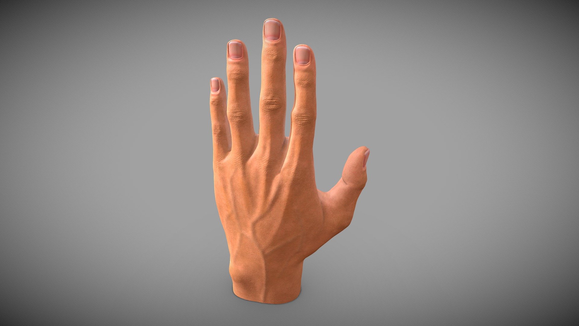 HAND - Download Free 3D model by Rijo (@Rijo_) [a194411] - Sketchfab
