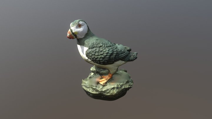 Puffin 3D models - Sketchfab