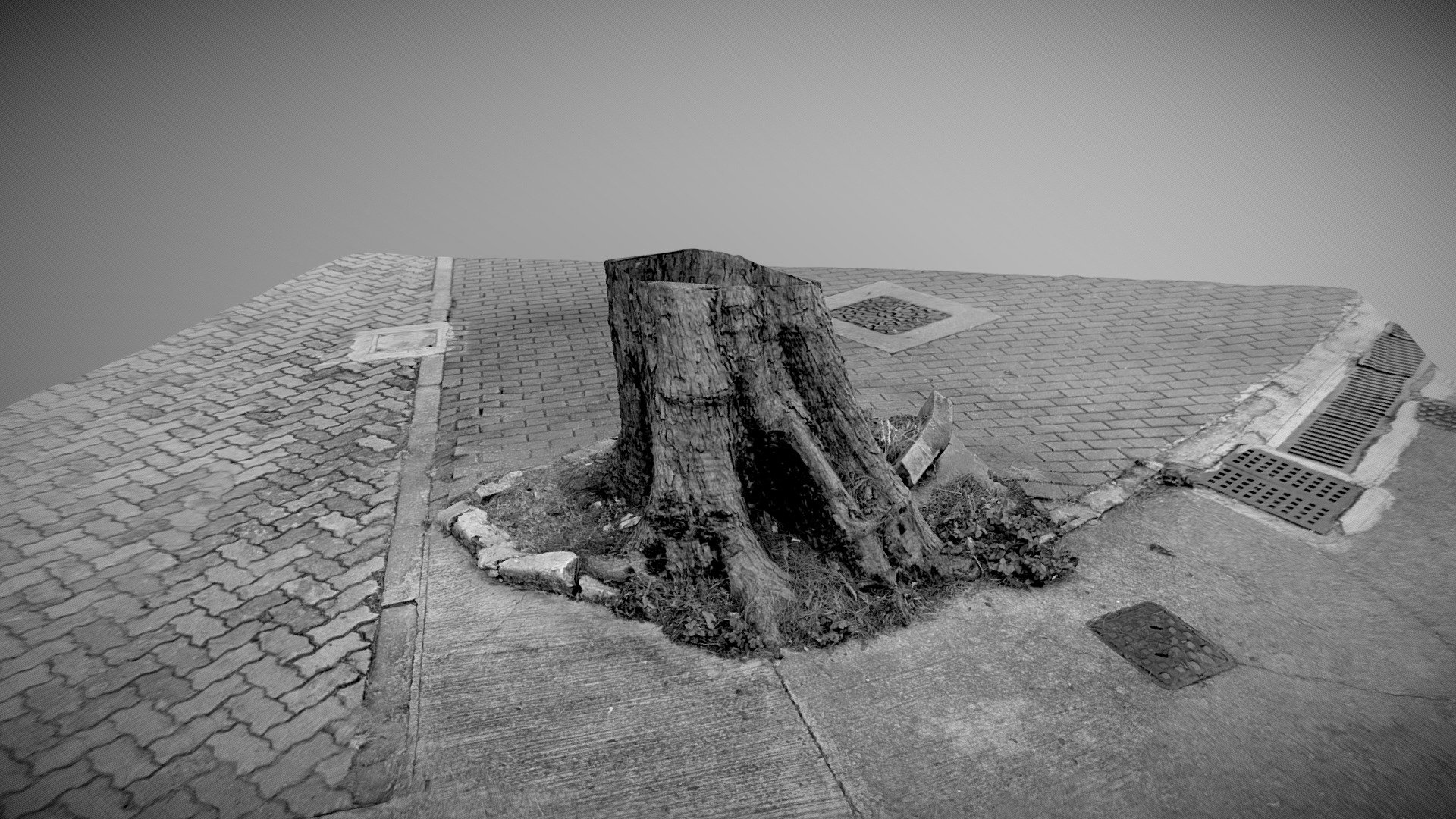 a1b2f43851e1467c8ee4b549738bf502 - 3D model by Gray (@Grayling ...