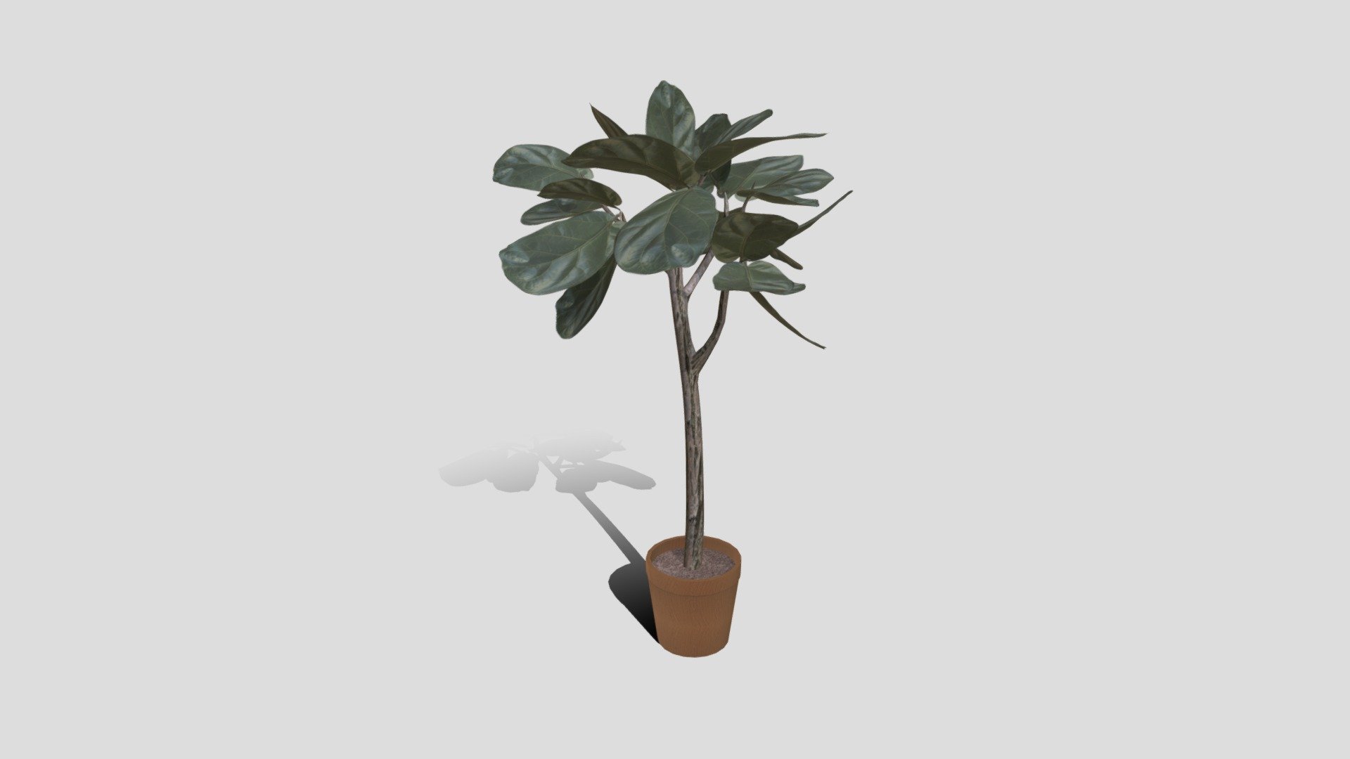 wk9_plant_gudeman_jesslyn - Download Free 3D model by gudemanj [a1b4777 ...
