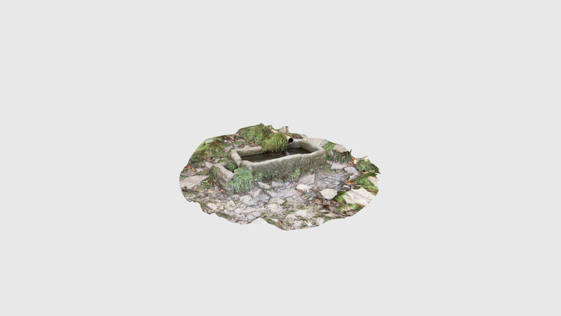 Drinking Troff - Download Free 3D model by markfrancis [a1b4bd3 ...