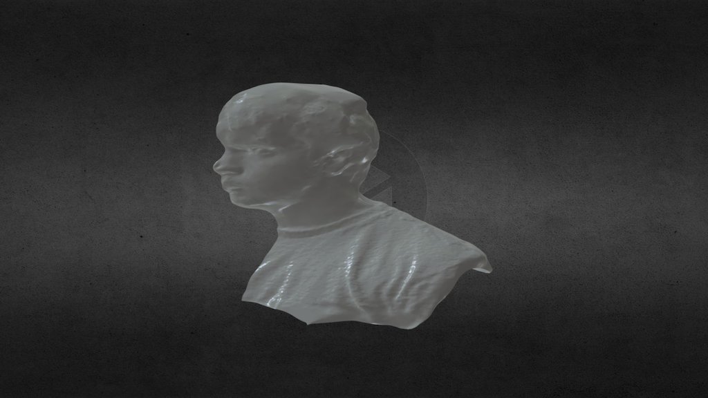 Split Head - 3D model by bjohnson45 [a1b76c5] - Sketchfab