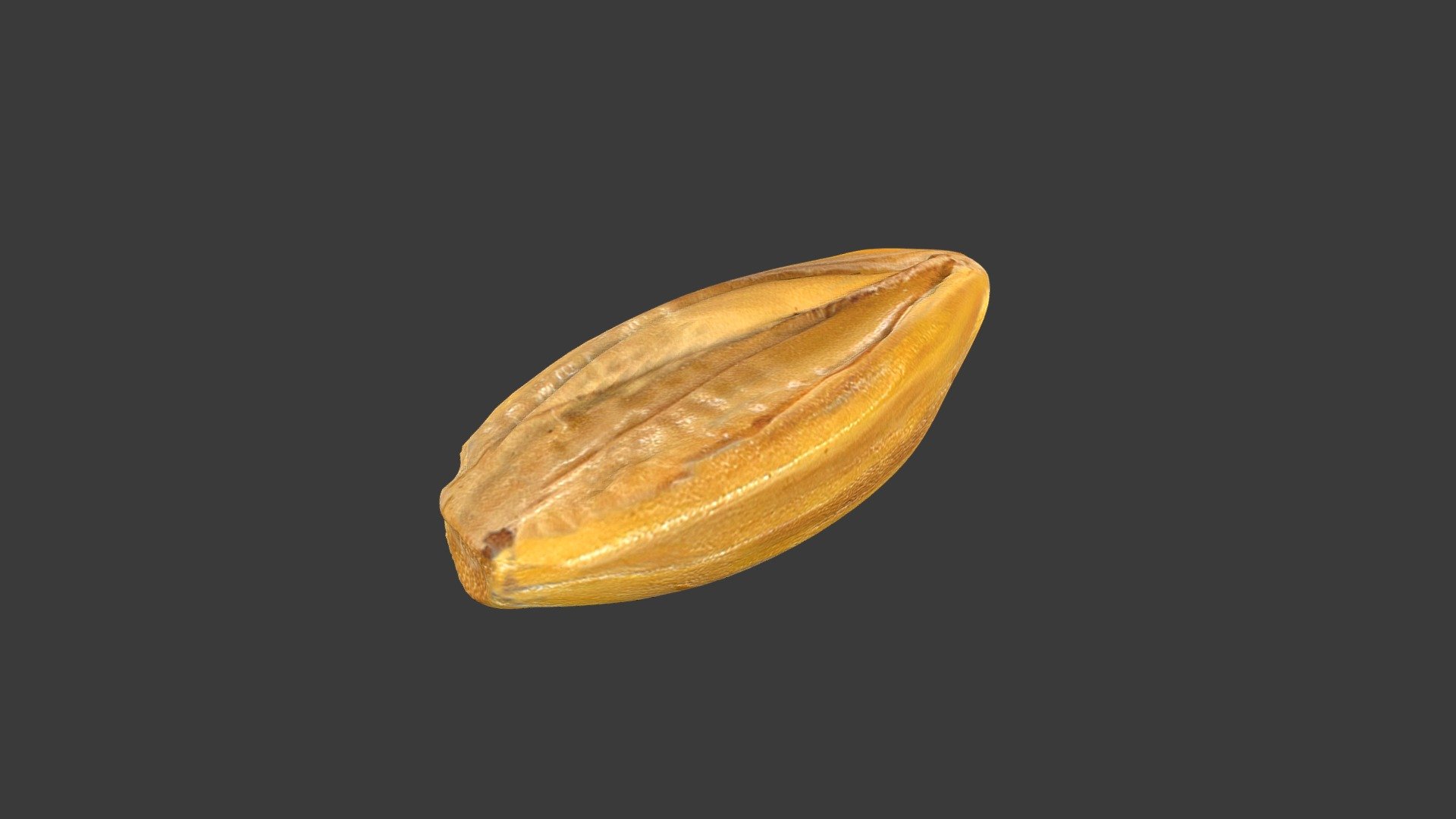 2 Row Barley - 3D model by Oregon State University | Ecampus [a1bcdd5 ...
