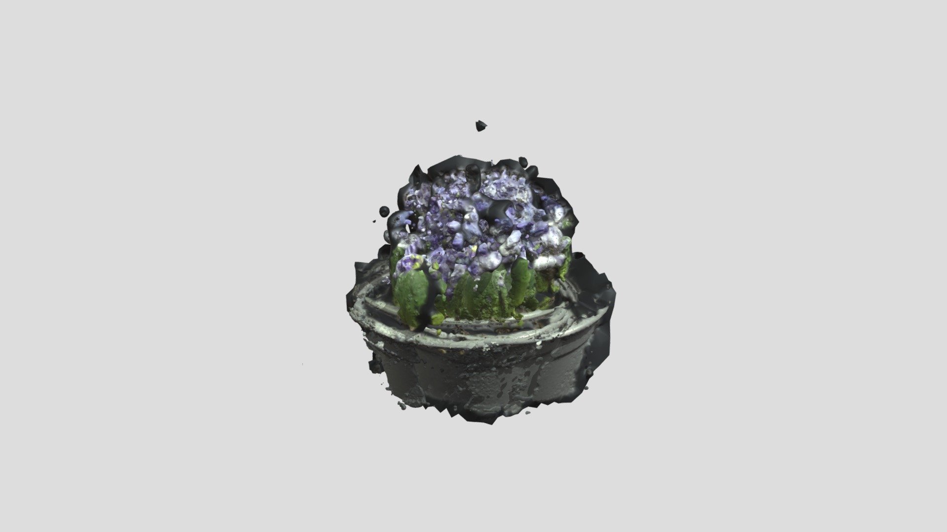 Blue Hyacinth - 3D model by plantss [a1c12f1] - Sketchfab