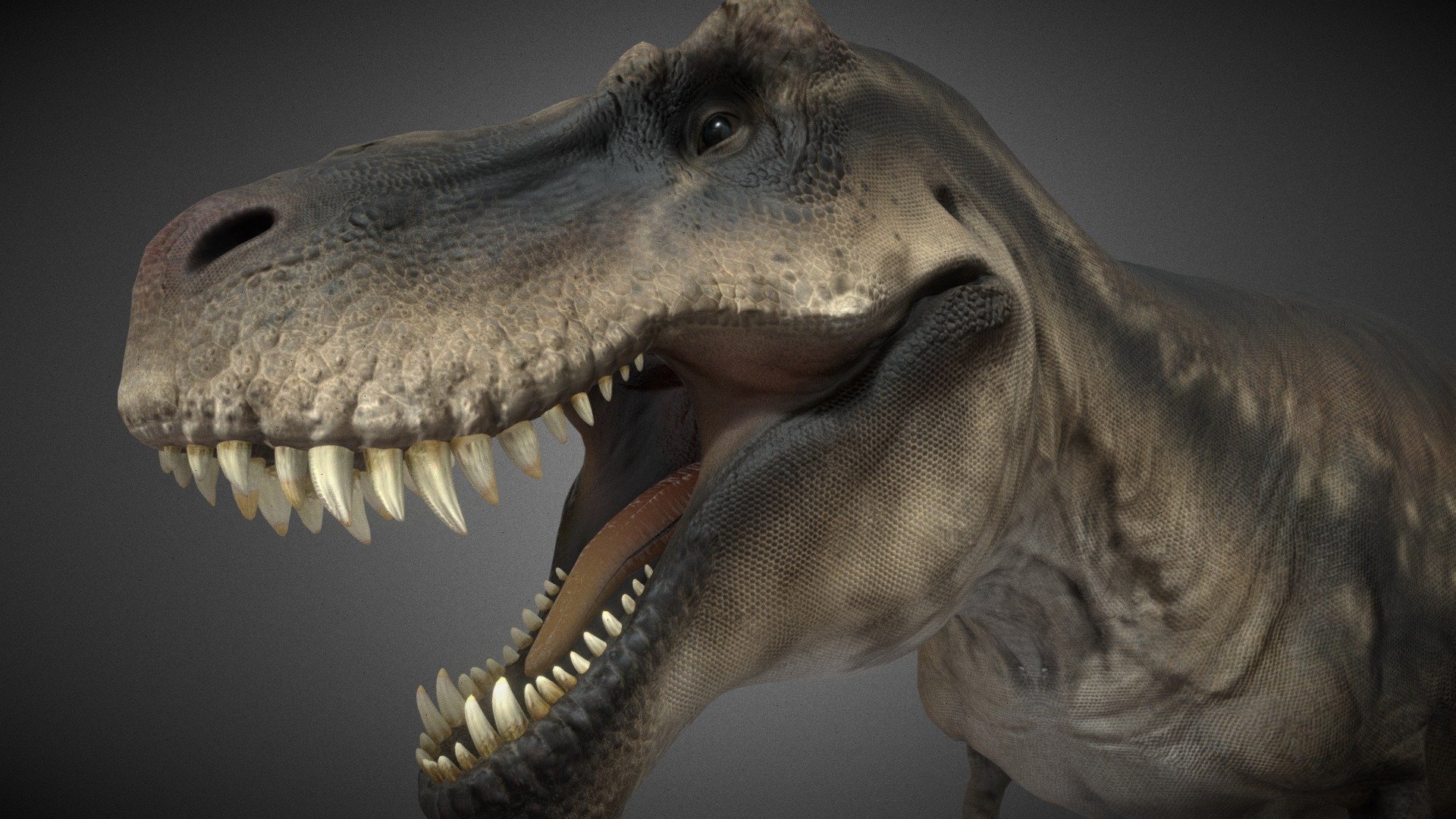 T-rex Sue - Buy Royalty Free 3D model by robertfabiani [a1c2597 ...