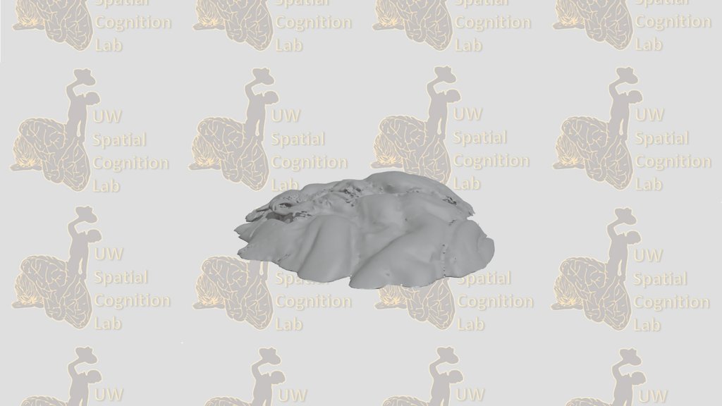 UW Spatial Cognition Lab Axial Brain Slices - A 3D model collection by ...