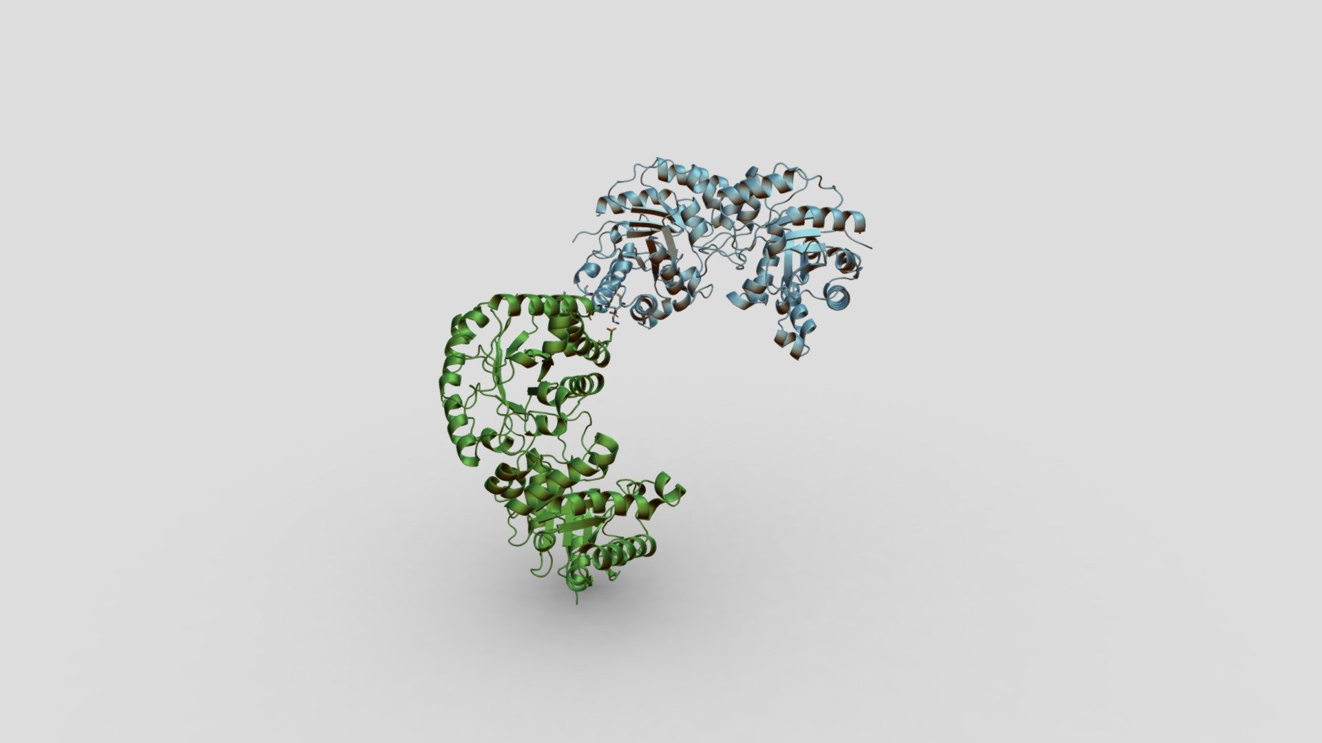 Tetramero - 3D model by Sergio Enriquez Flores (@sergioenriquez ...