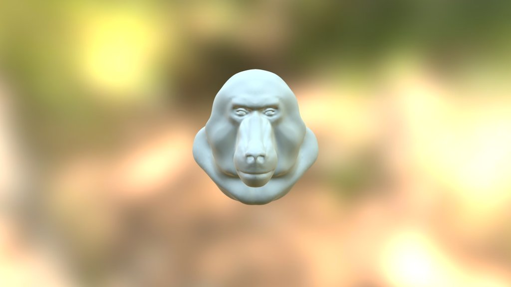 Baboon study - 3D model by Ilari Gröhn (@ilarigrohn) [a1c816c] - Sketchfab