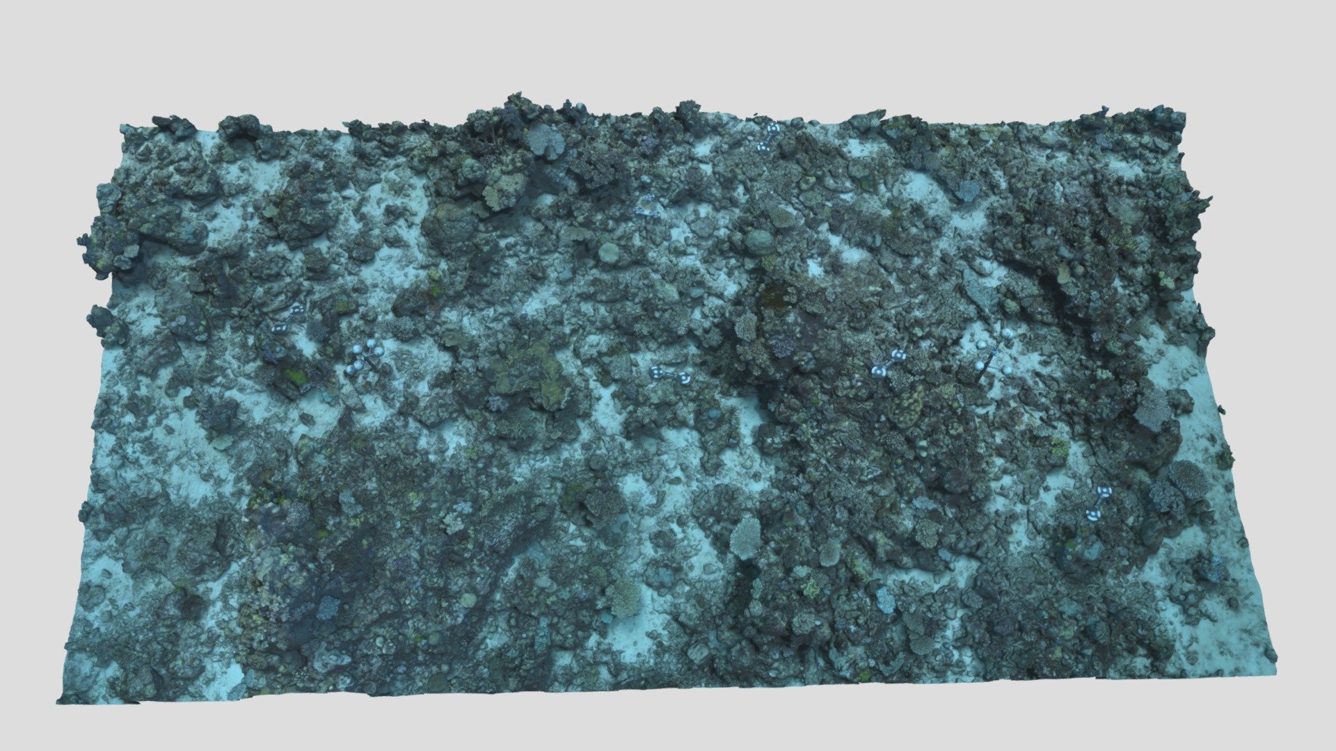 Davies_FR2D_P1_202301 - 3D model by EcoRRAP (@AIMSEcoRRAP) [a1c88e8 ...