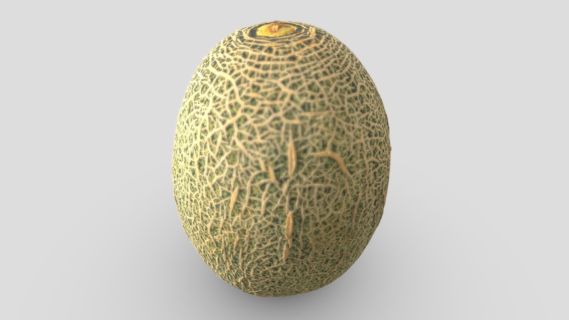 Melon - Download Free 3D model by STUDIO DUCKBILL (@DuckbillStudio ...