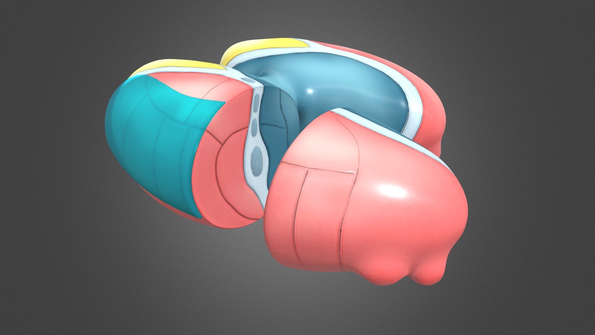 Talamo 2 - 3D model by Carlos Acevedo (@Carlitos.Acevedo) [a1ddf7e ...