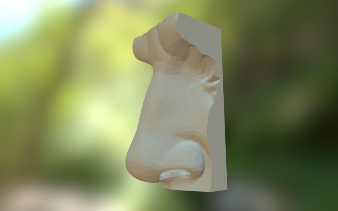 David - Nose - 3D model by gersonklein [a1de4e9] - Sketchfab