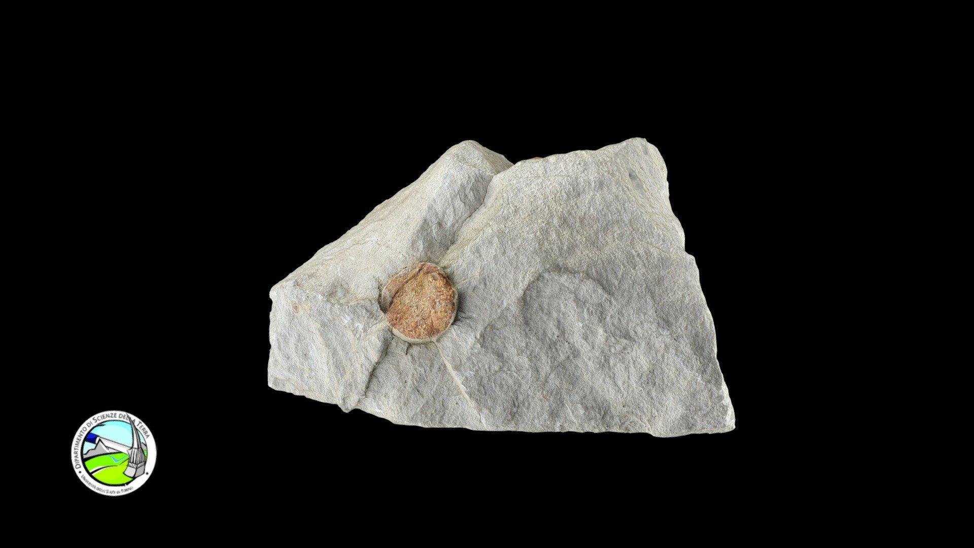 Marna - 3D model by Dipartimento di Scienze della Terra - UniTo ...