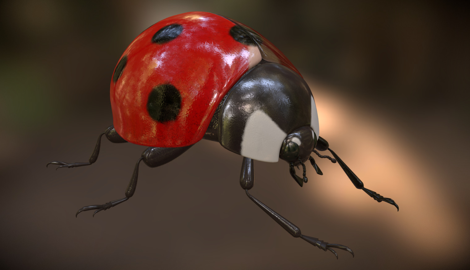 Ladybug - 3D model by EasyMelody [a1f8168] - Sketchfab
