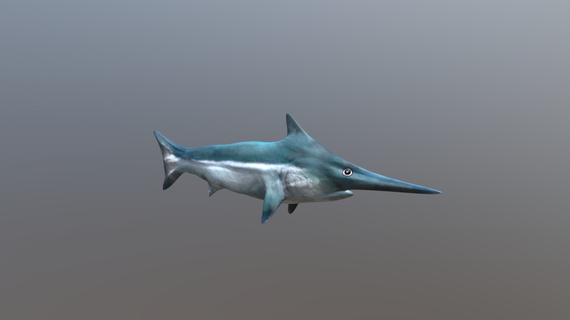 Swordfish - 3D model by GraceC [a204fa0] - Sketchfab