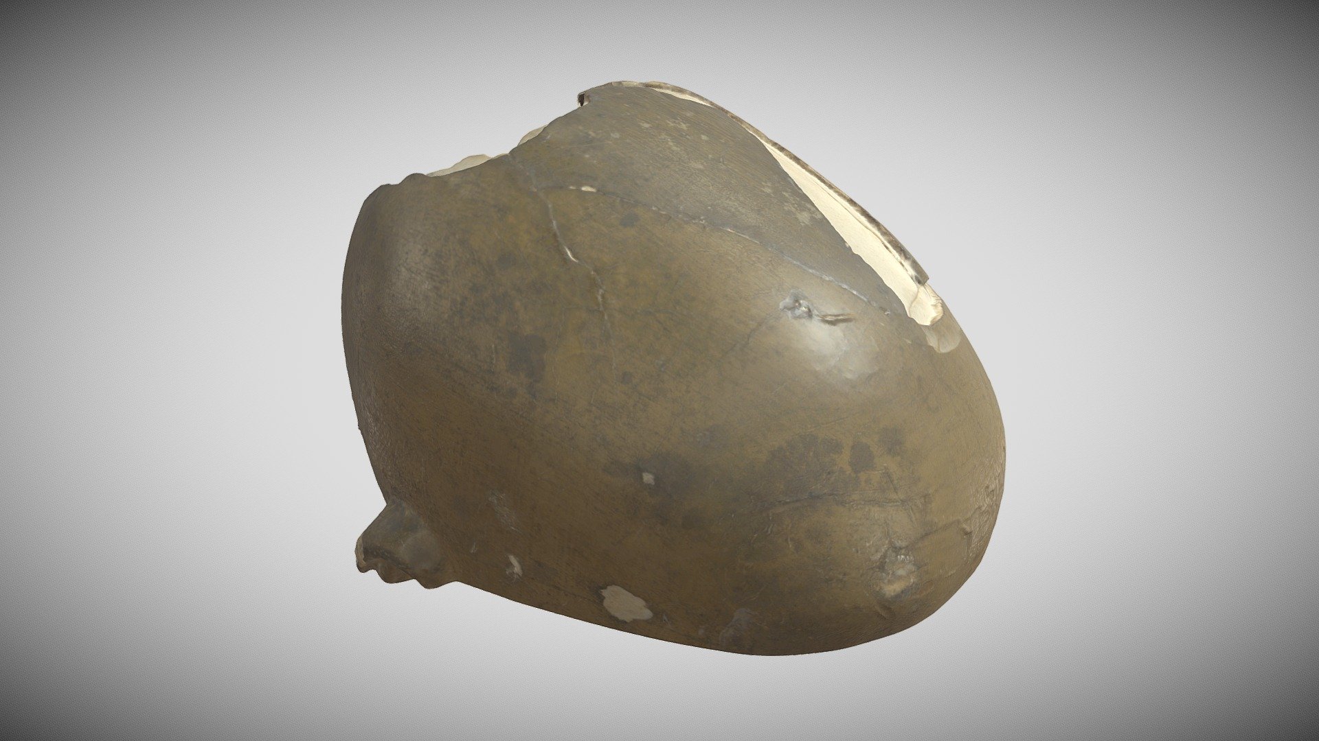 perfect girl head slice objs - 3D model by Designblok [a2086ea] - Sketchfab