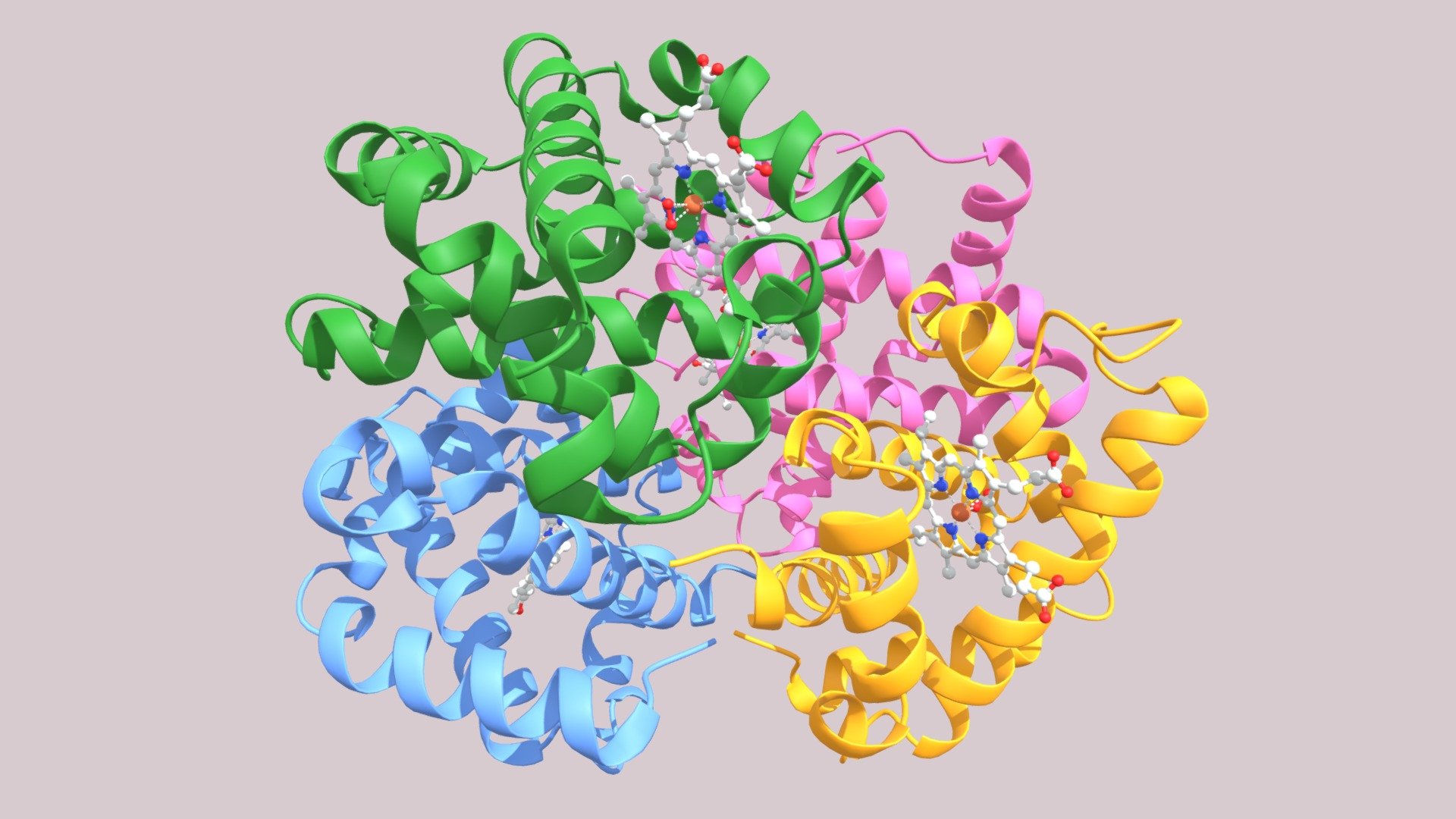Oxy- Haemoglobin Molecular Structure - Download Free 3D model by S.Duce ...