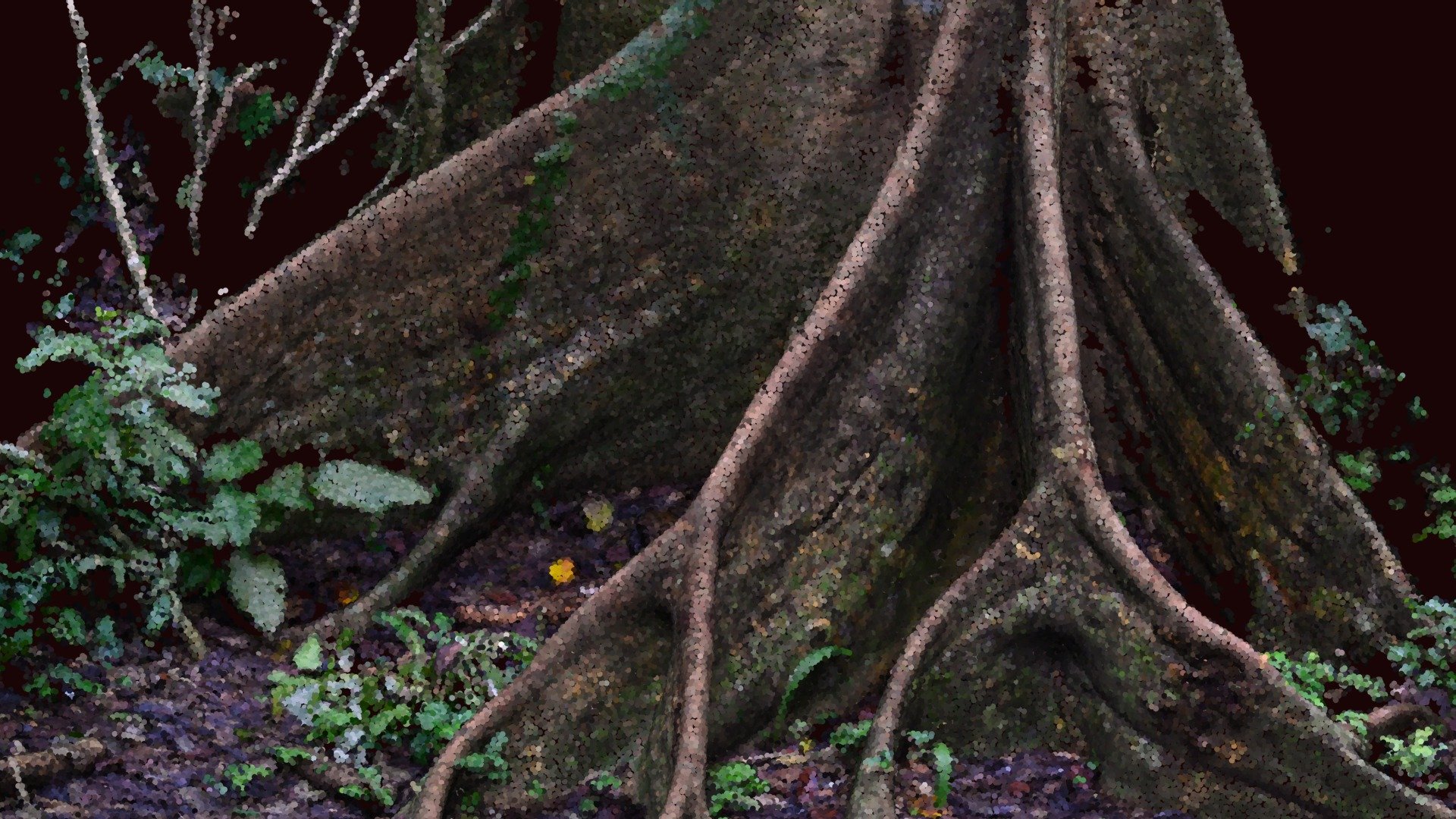 Ficus étrangleur d'Amazonie - 3D model by Jurassi [a213c93] - Sketchfab