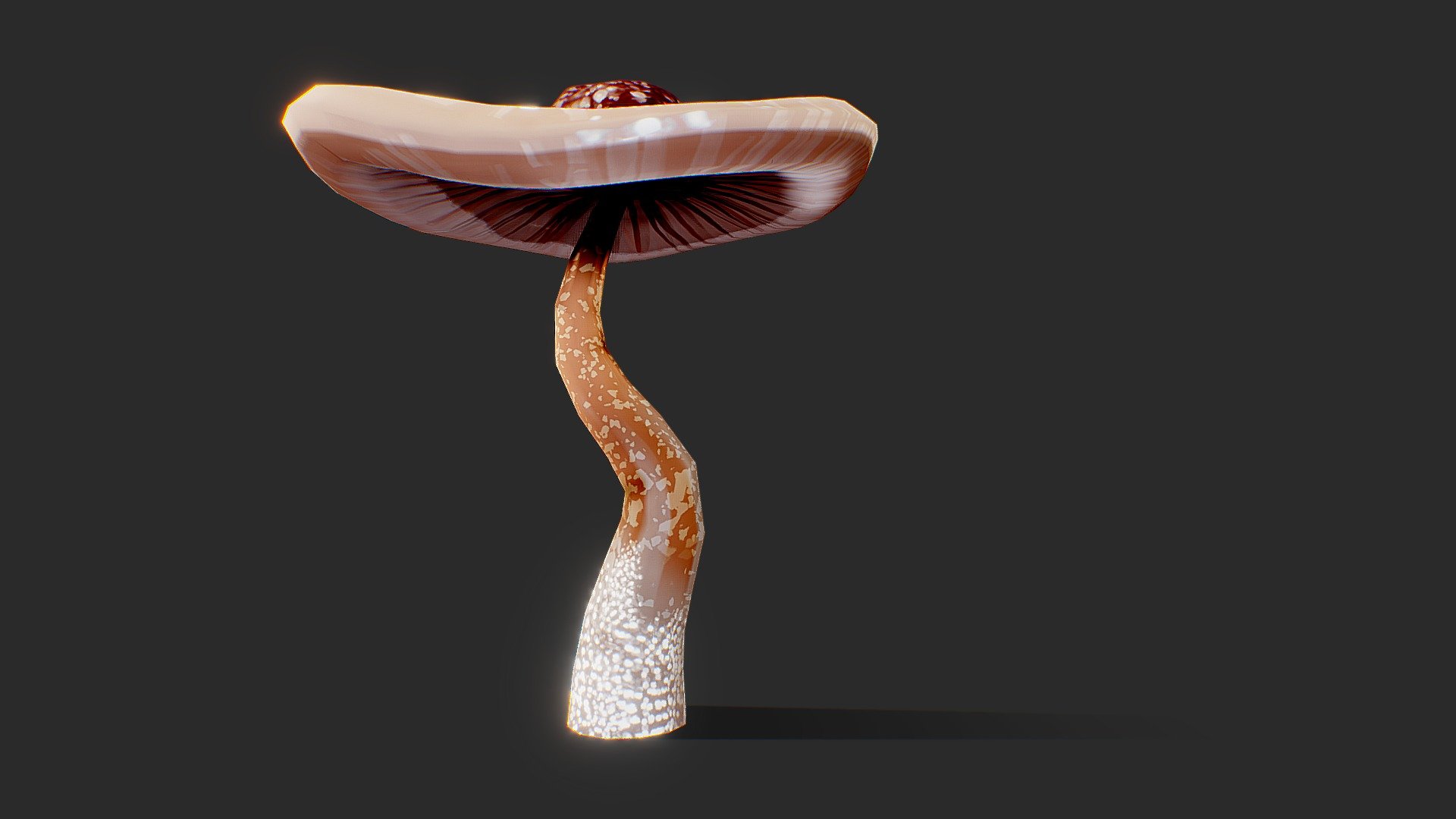 Mushroom - 3D model by cemozcan [a226638] - Sketchfab