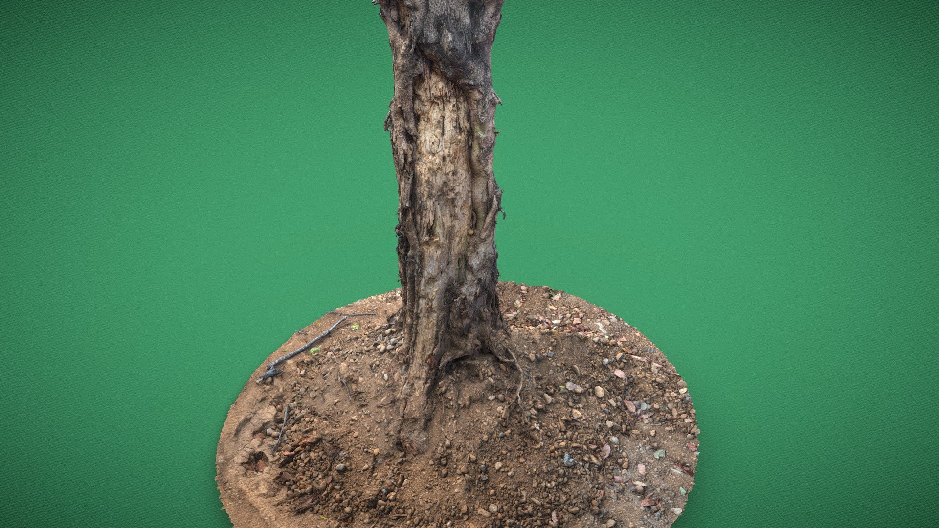 another tree - Buy Royalty Free 3D model by dekahobby [a230385 ...