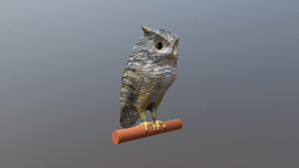 Owl - 3D model by rick.reedra [a230dfa] - Sketchfab