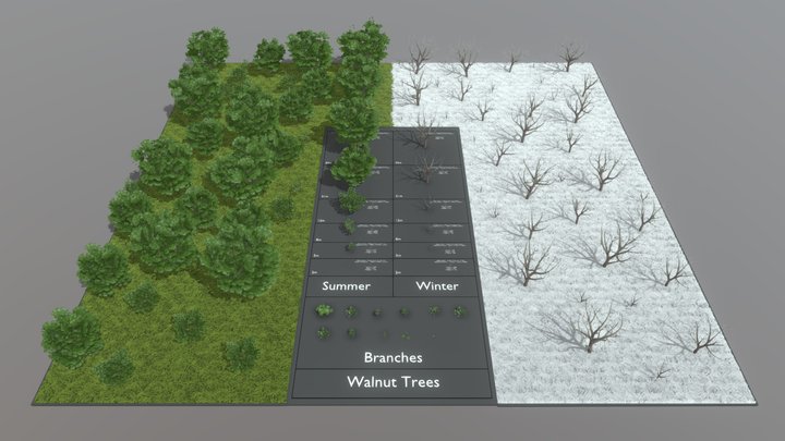 Walnut 3D models - Sketchfab