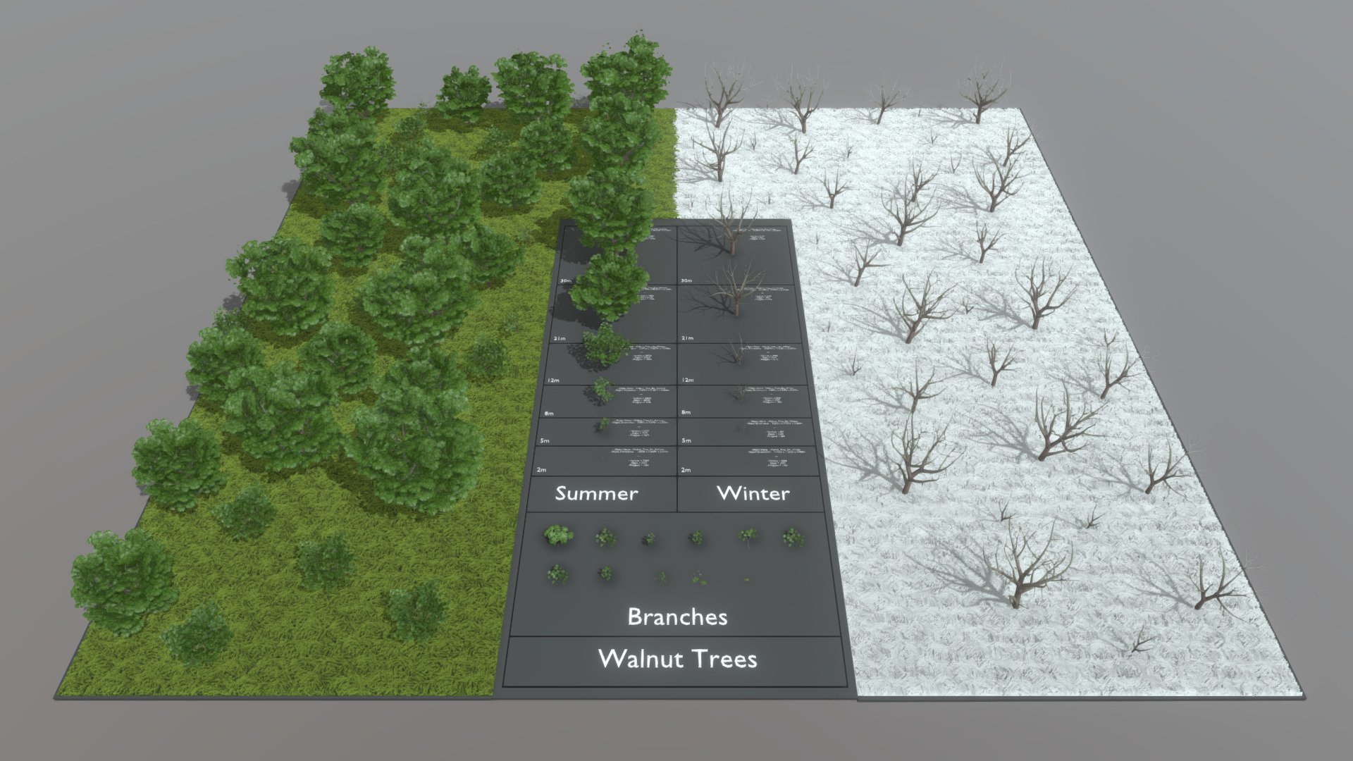 Low-Poly Walnut Tree Package - Buy Royalty Free 3D model by VIS-All-3D ...